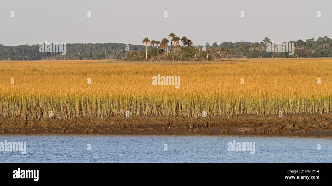 Low tide in a South Carolina salt marsh Stock Photo - Alamy