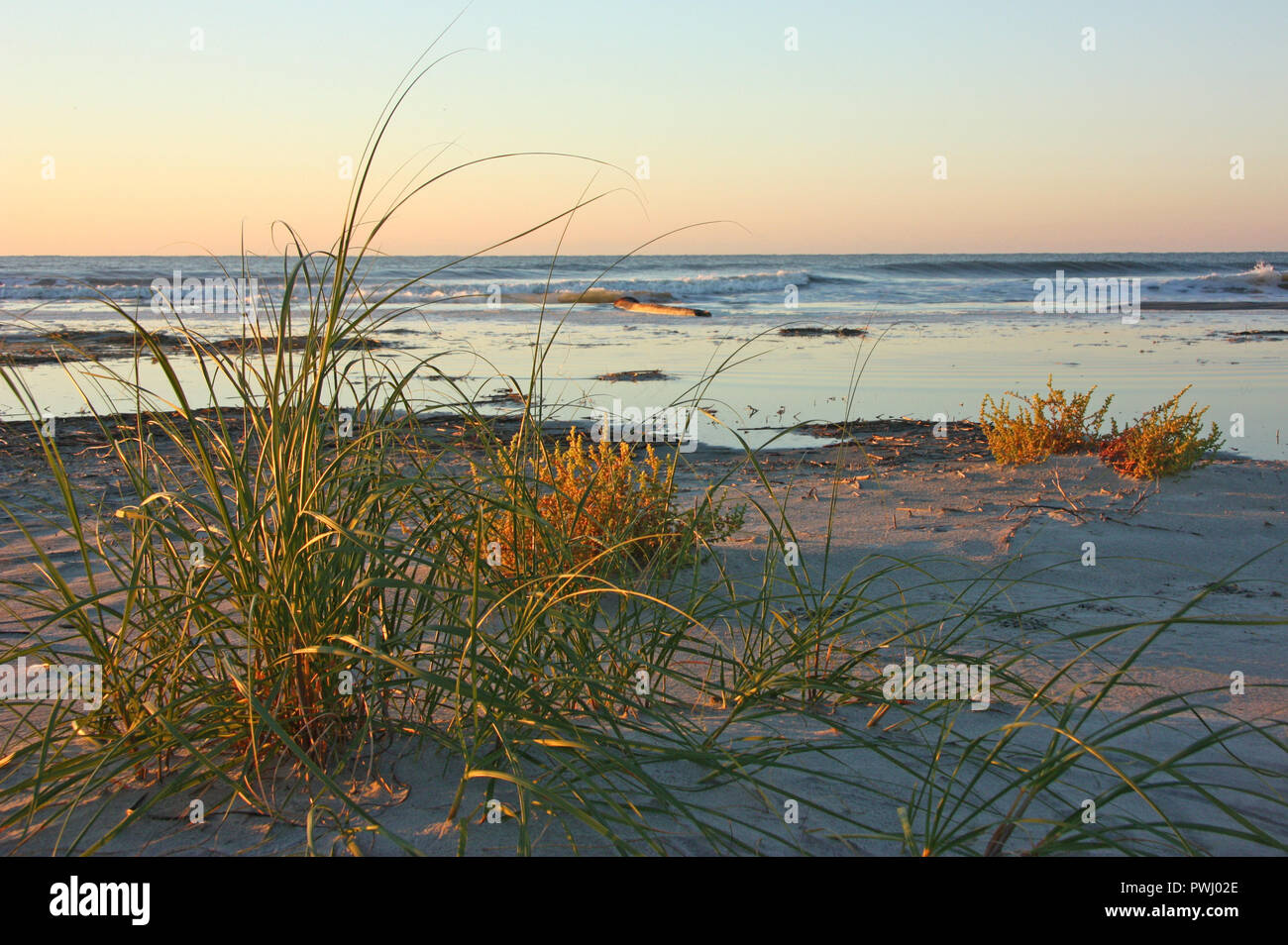 Rough vegetation hi-res stock photography and images - Alamy
