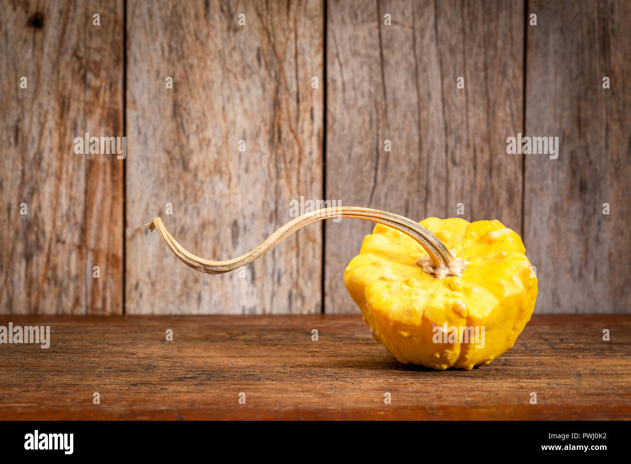 ornamental gourd with a long stem against rustic wood - fall holidays ...