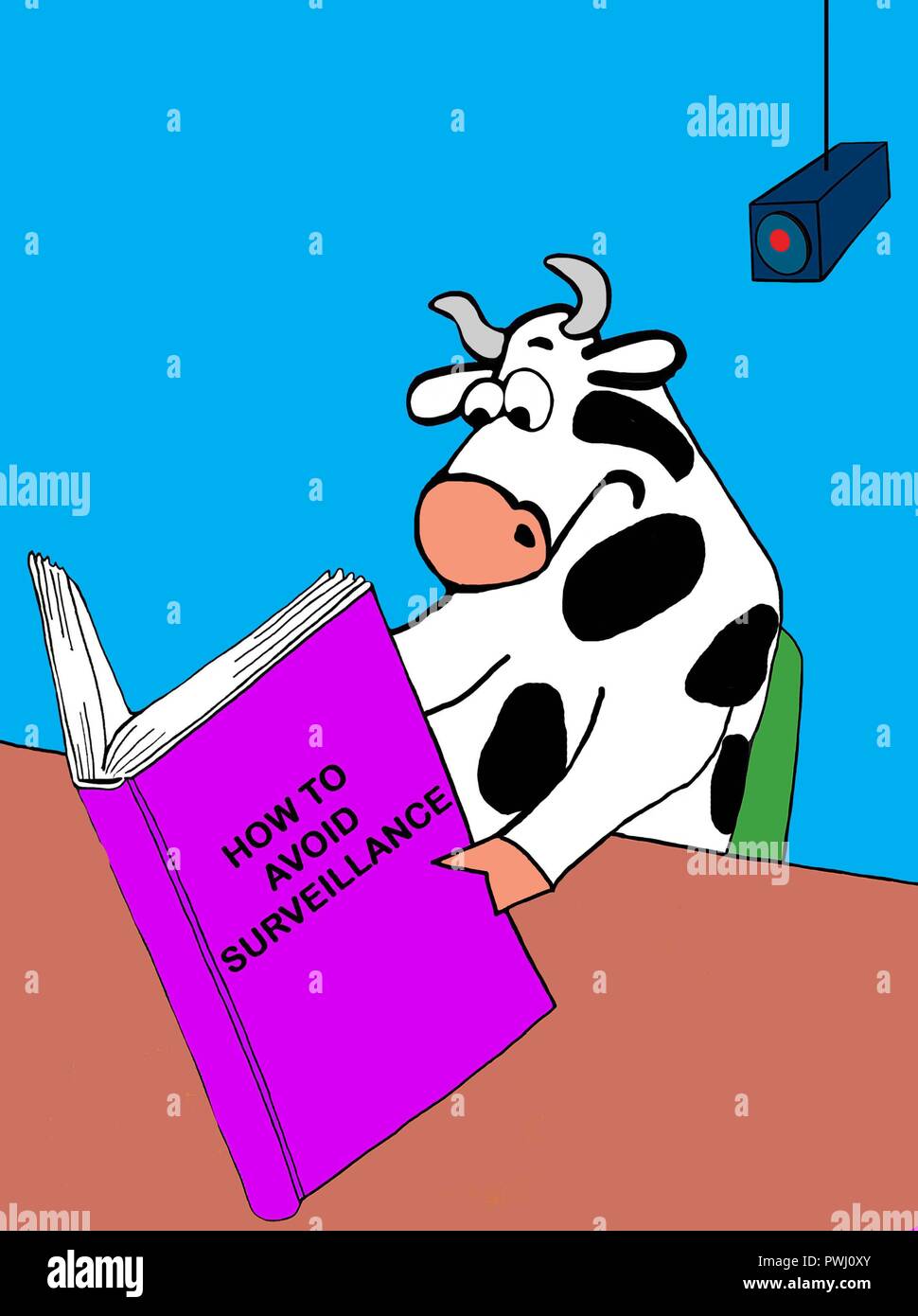 Being watched by cow hi-res stock photography and images - Alamy