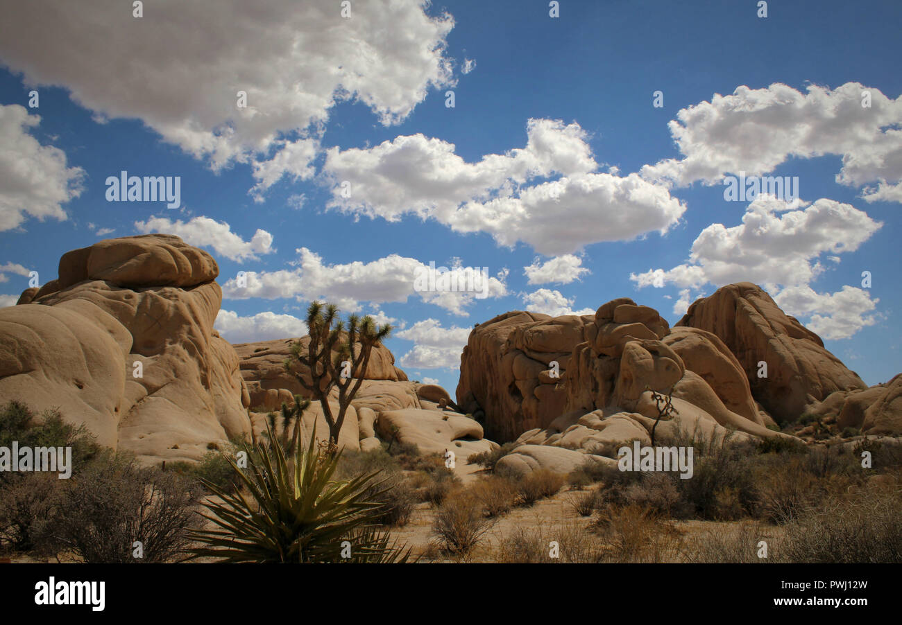 Rock Formations at Jumbo Rocks Campground, Joshua Tree National Park ...