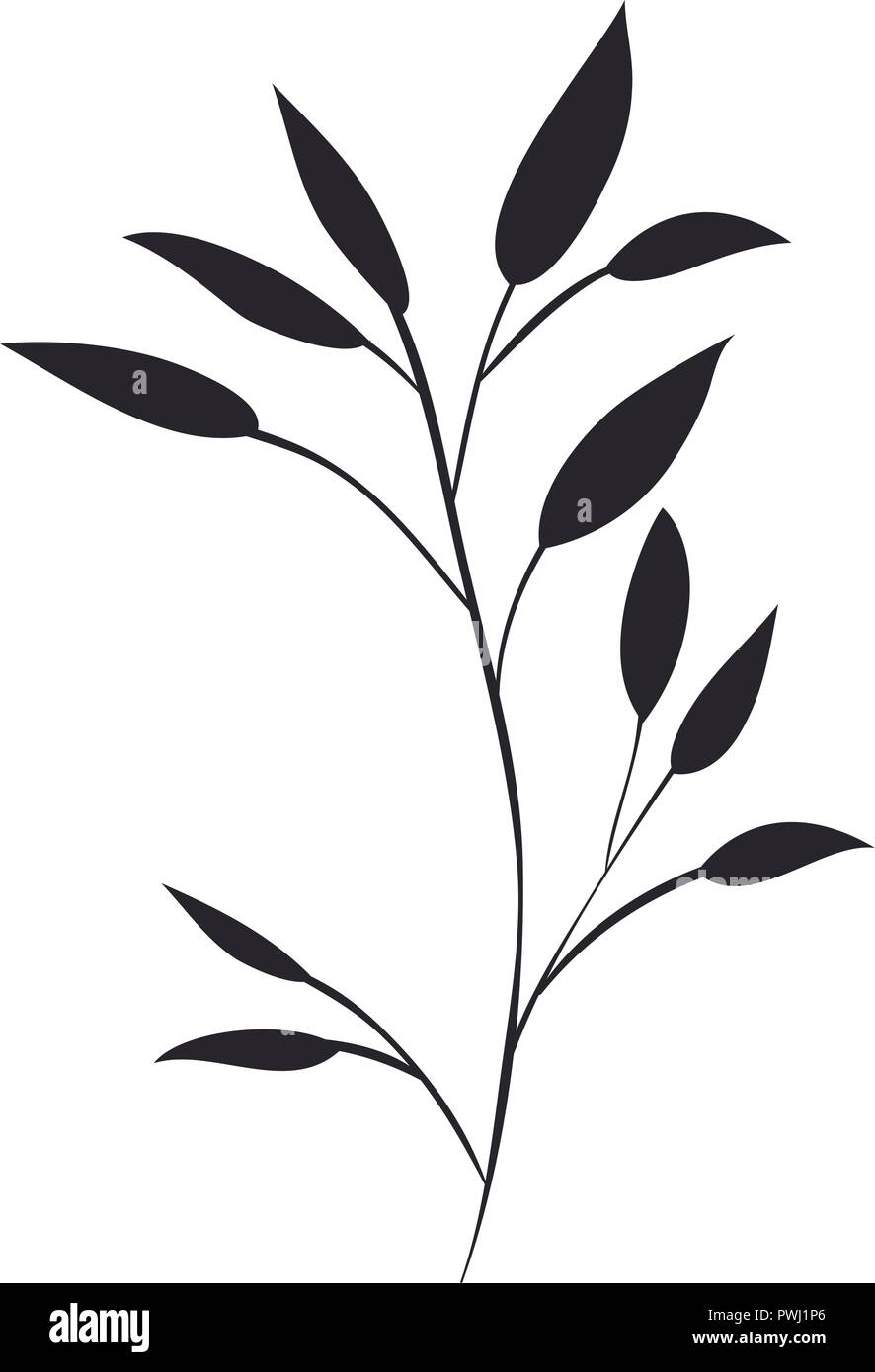 beautiful leaf plant icon Stock Vector Image & Art - Alamy