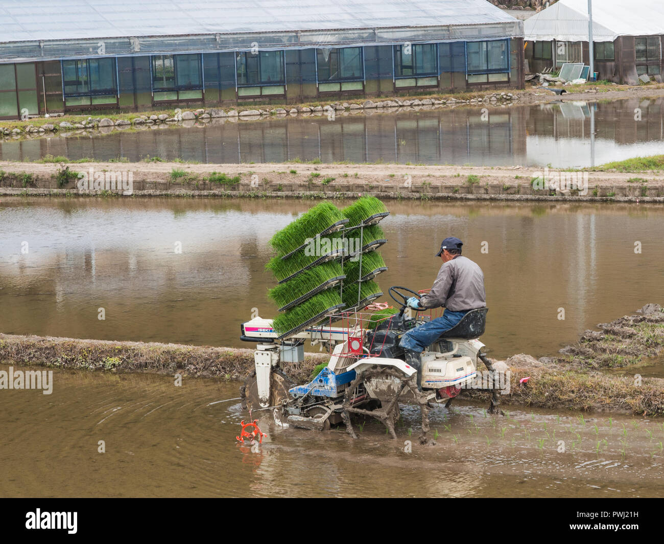 Japan rice planting machine hi-res stock photography and images - Alamy