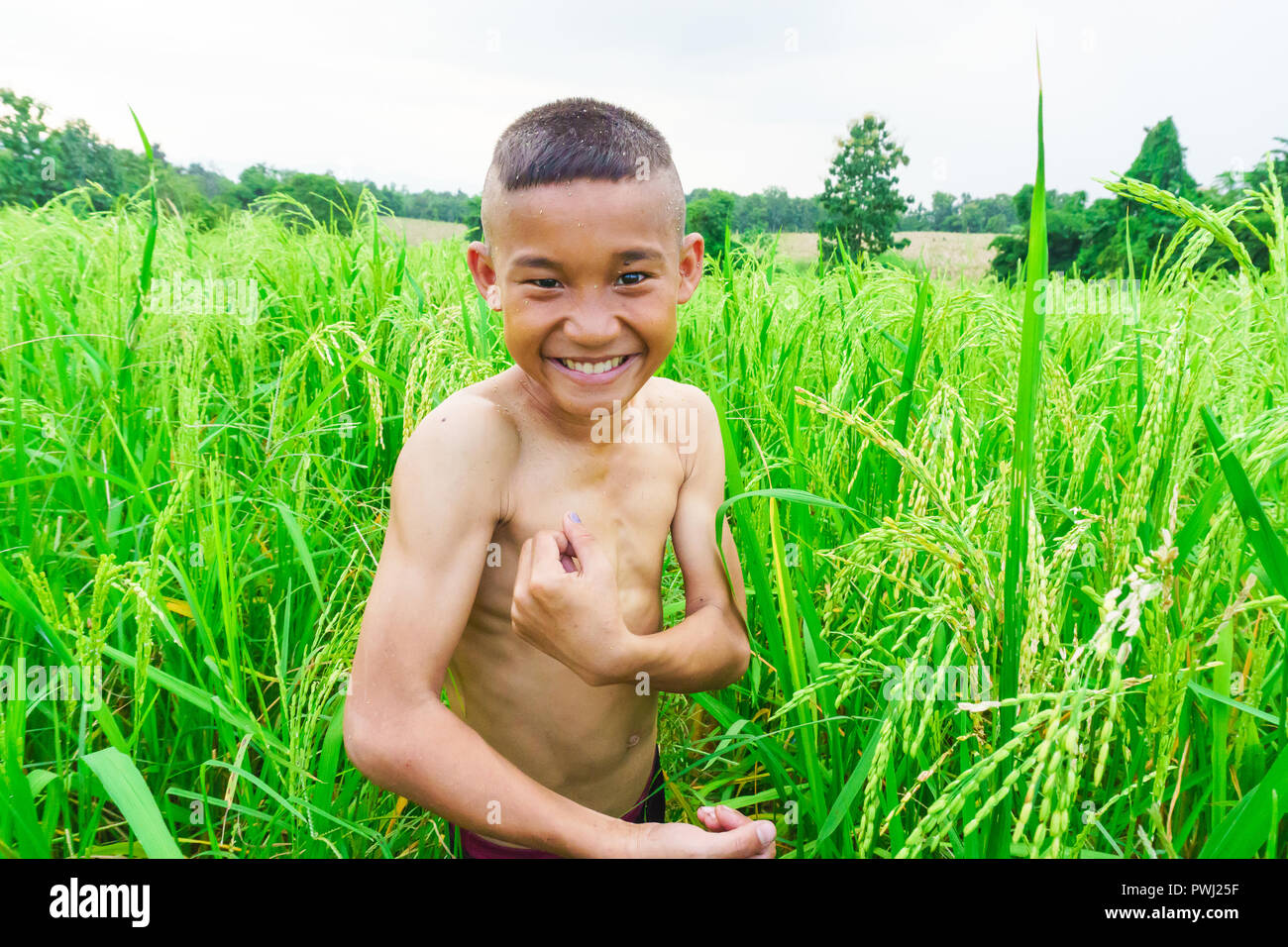 Rural children are enjoying the rice field,A healthy kid in a green ...