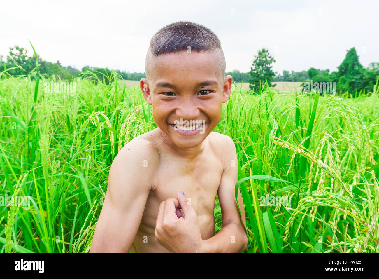 Rural children are enjoying the rice field,A healthy kid in a green ...