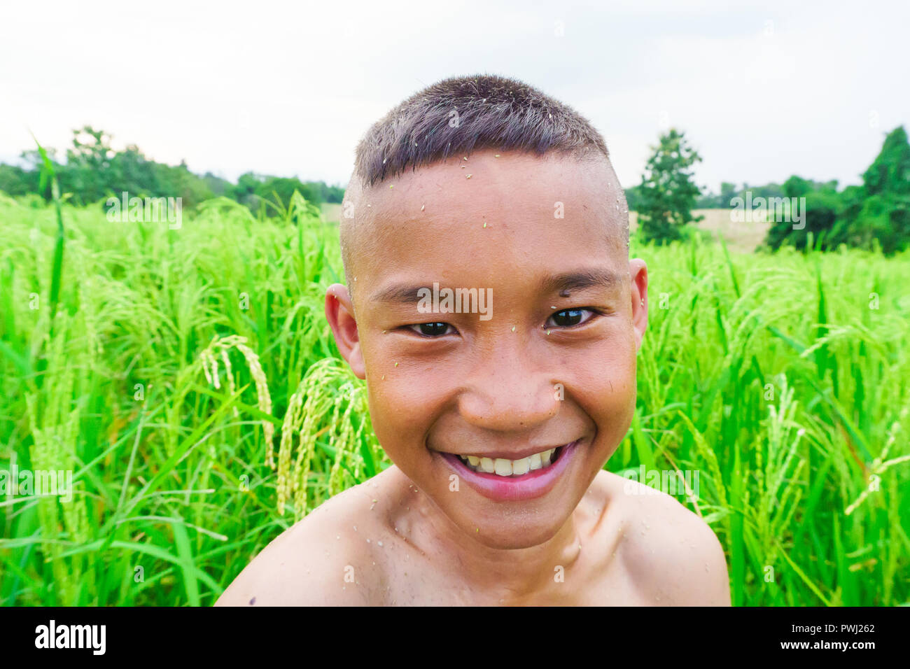 Rural children are enjoying the rice field,A healthy kid in a green ...