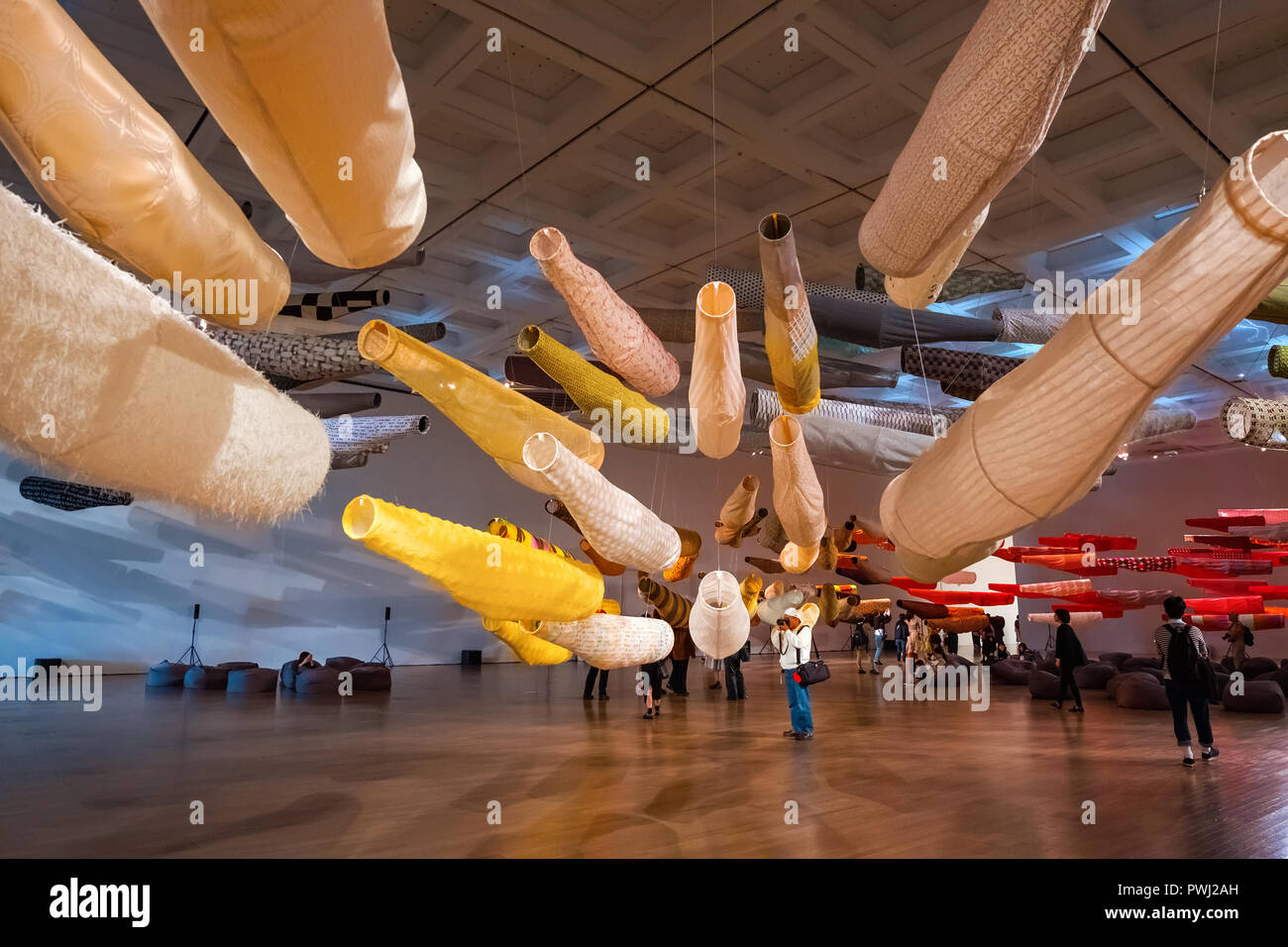 Carp windsock hi-res stock photography and images - Alamy