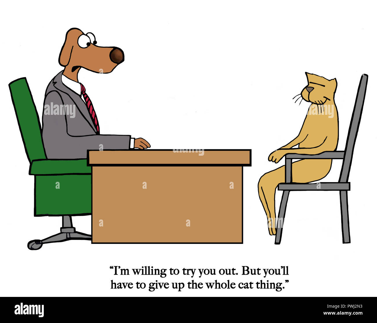 Cartoon Illustration Dog Judge Stock Photos & Cartoon Illustration Dog ...