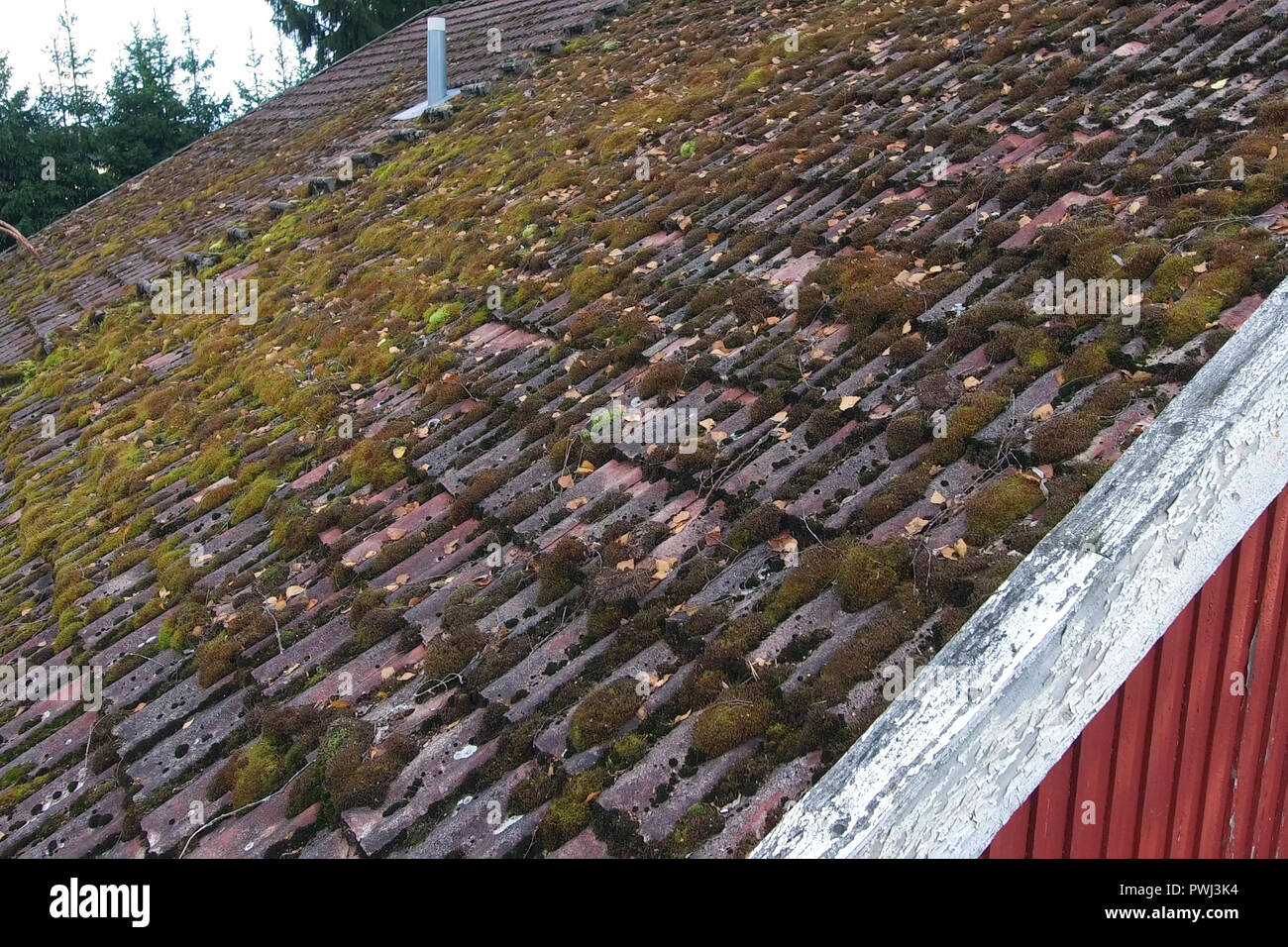 Moss covered building hi-res stock photography and images - Alamy