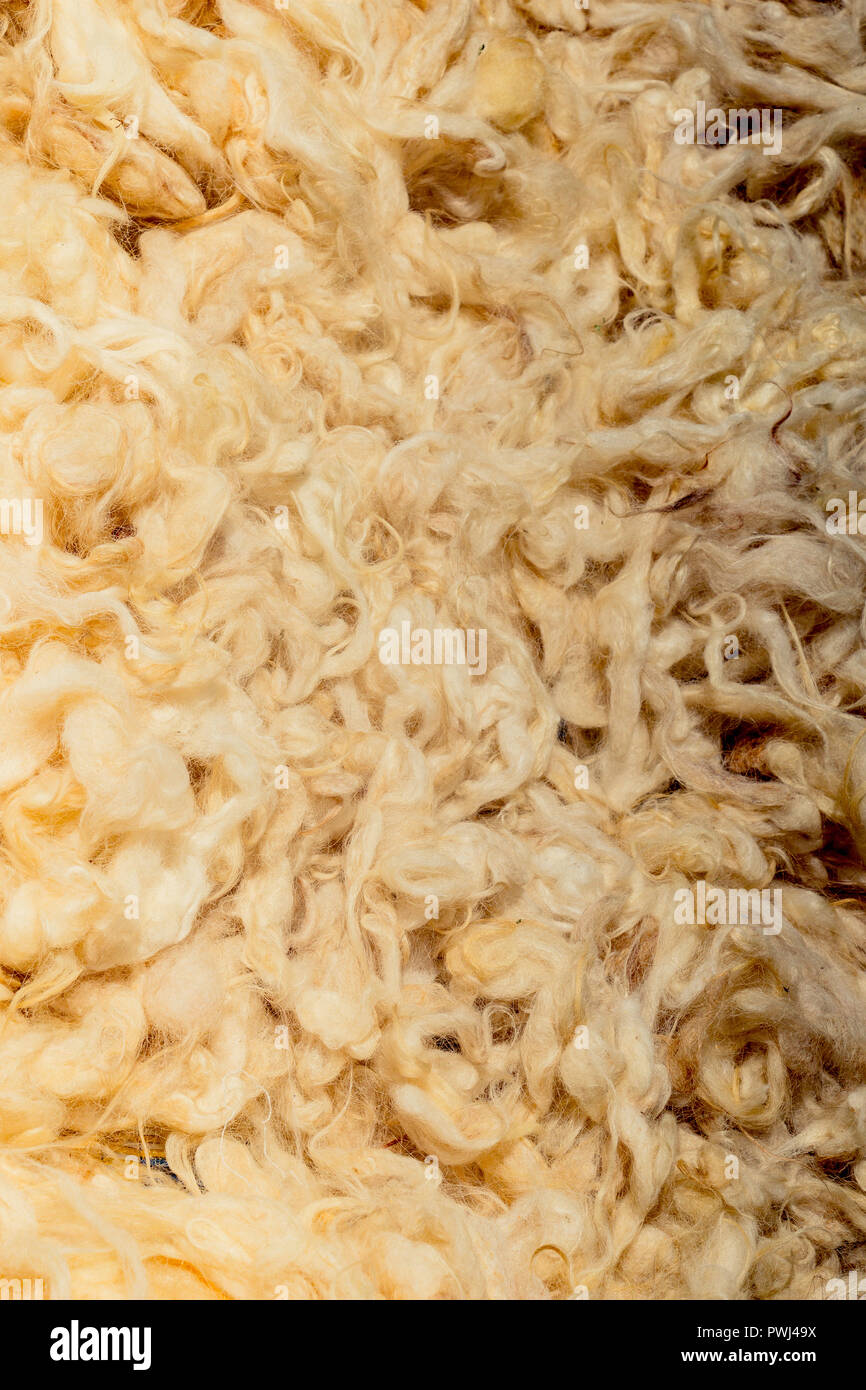 Heap of wool as a texture background Stock Photo - Alamy