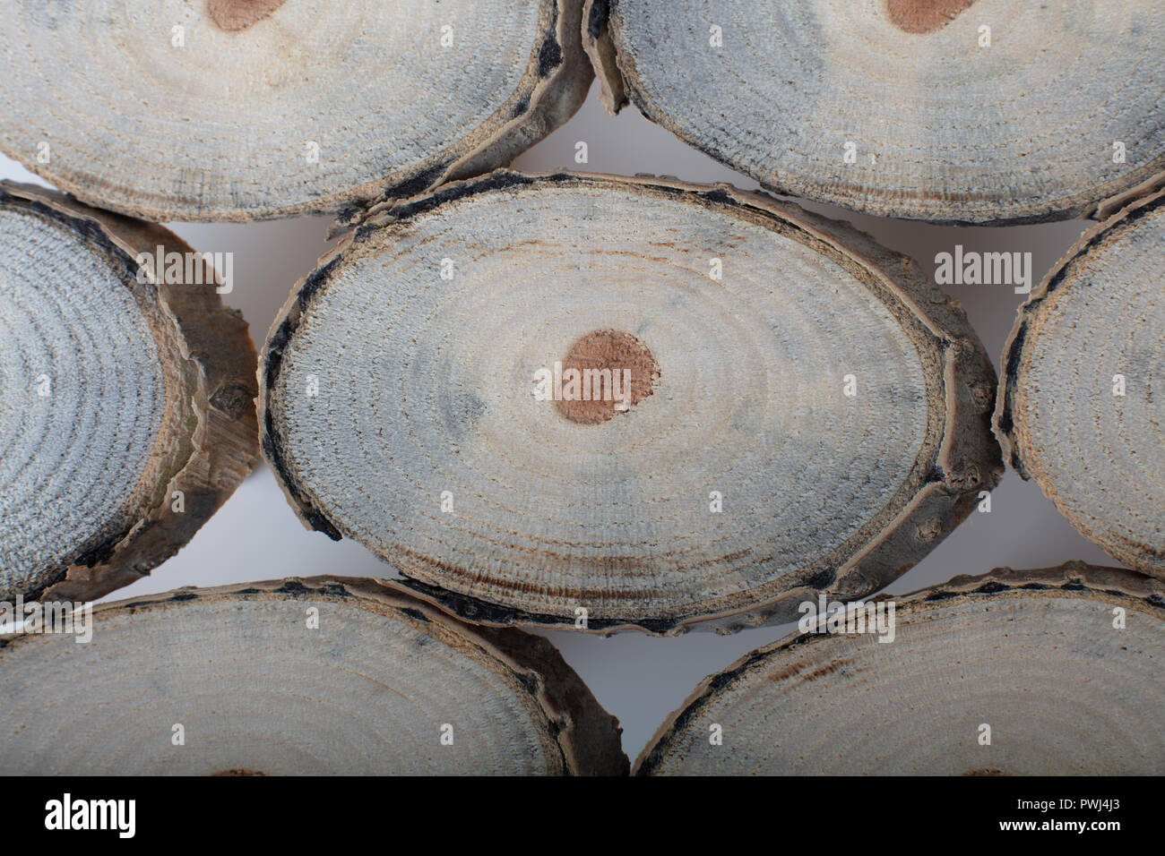 Wooden tree slices with annual rings and texture isolated on white ...
