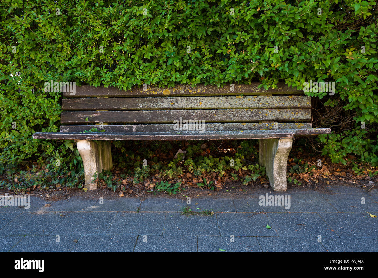 Old bench in the park Stock Photo - Alamy