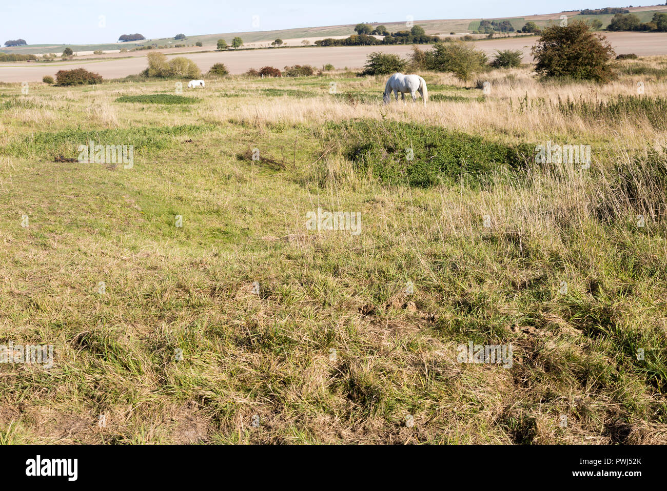 Richardson deserted medieval village, Berwick Bassett, Wiltshire ...