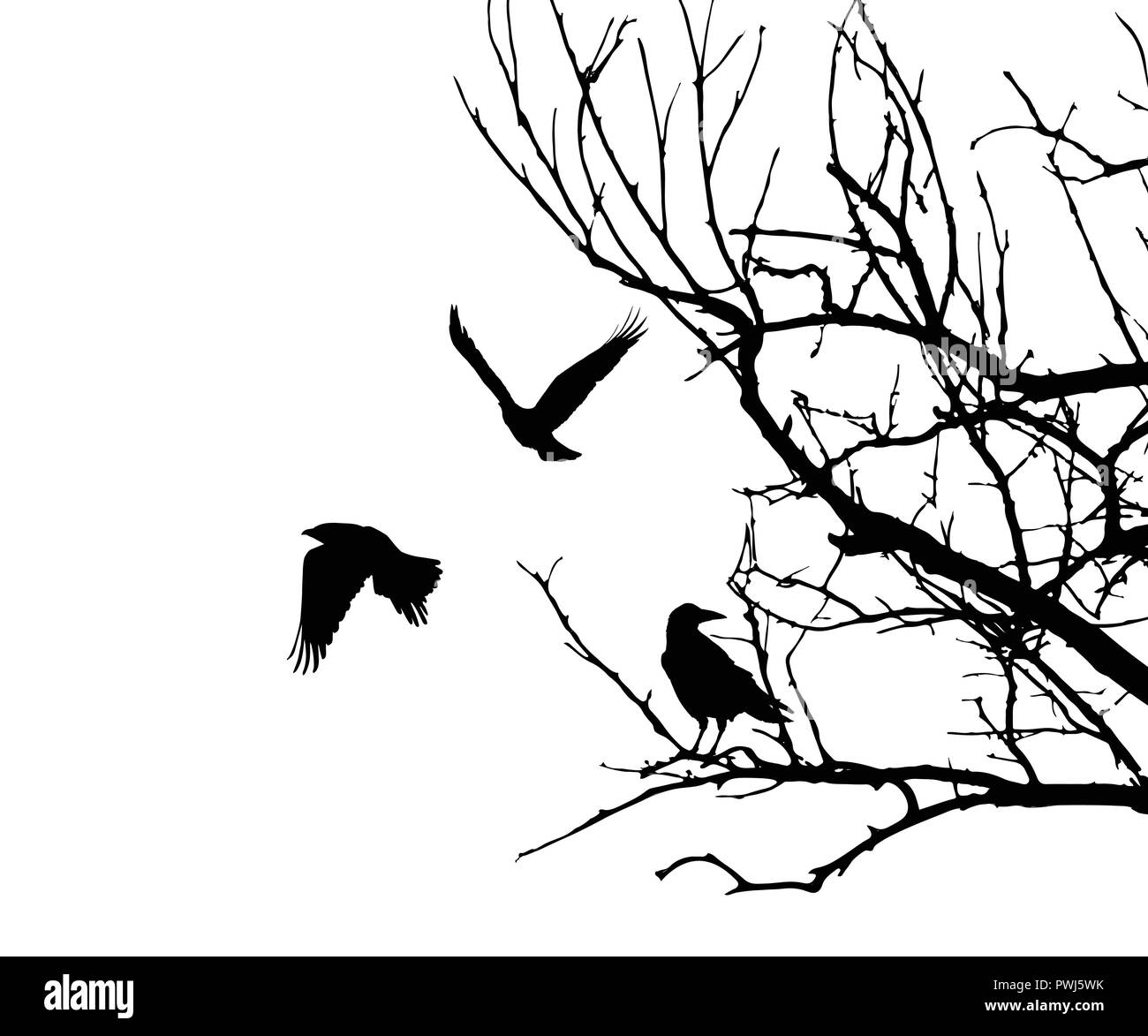 Tree Silhouette With Ravens