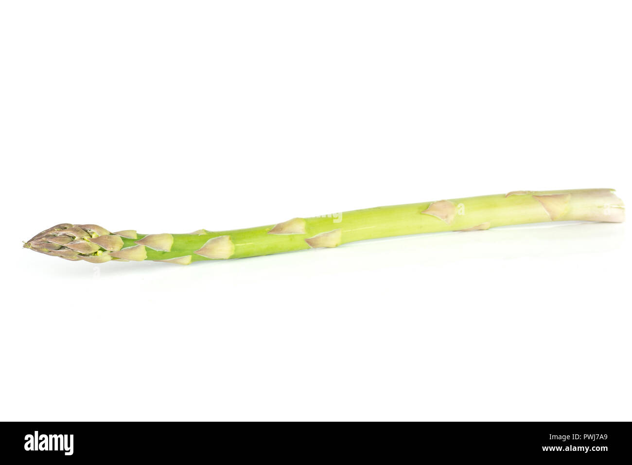One Asparagus