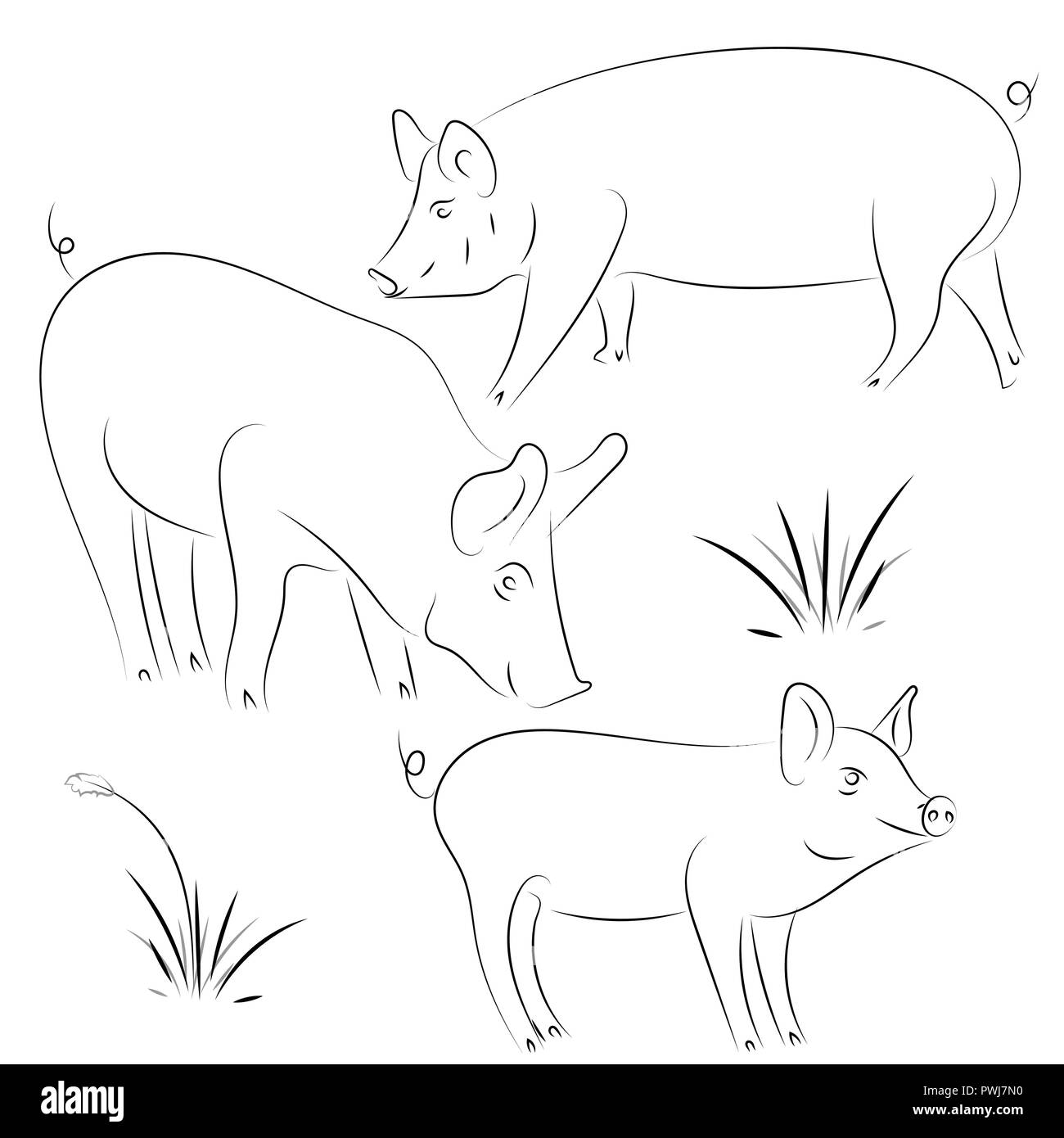 Fat Face Logo High Resolution Stock Photography and Images - Alamy