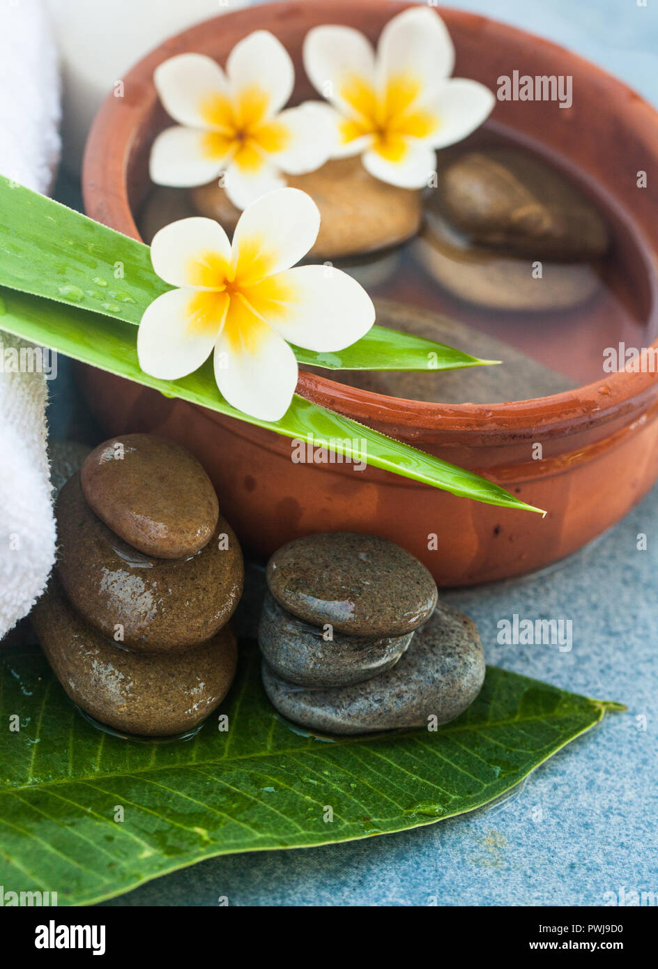 Spa background with green leaves, flowers on blue Stock Photo - Alamy