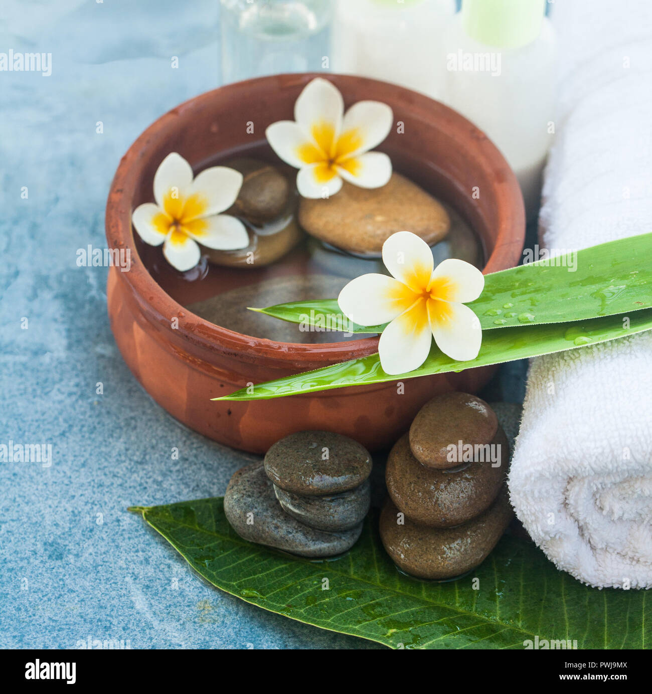 spa objects with flowers and stones for massage treatment Stock Photo ...