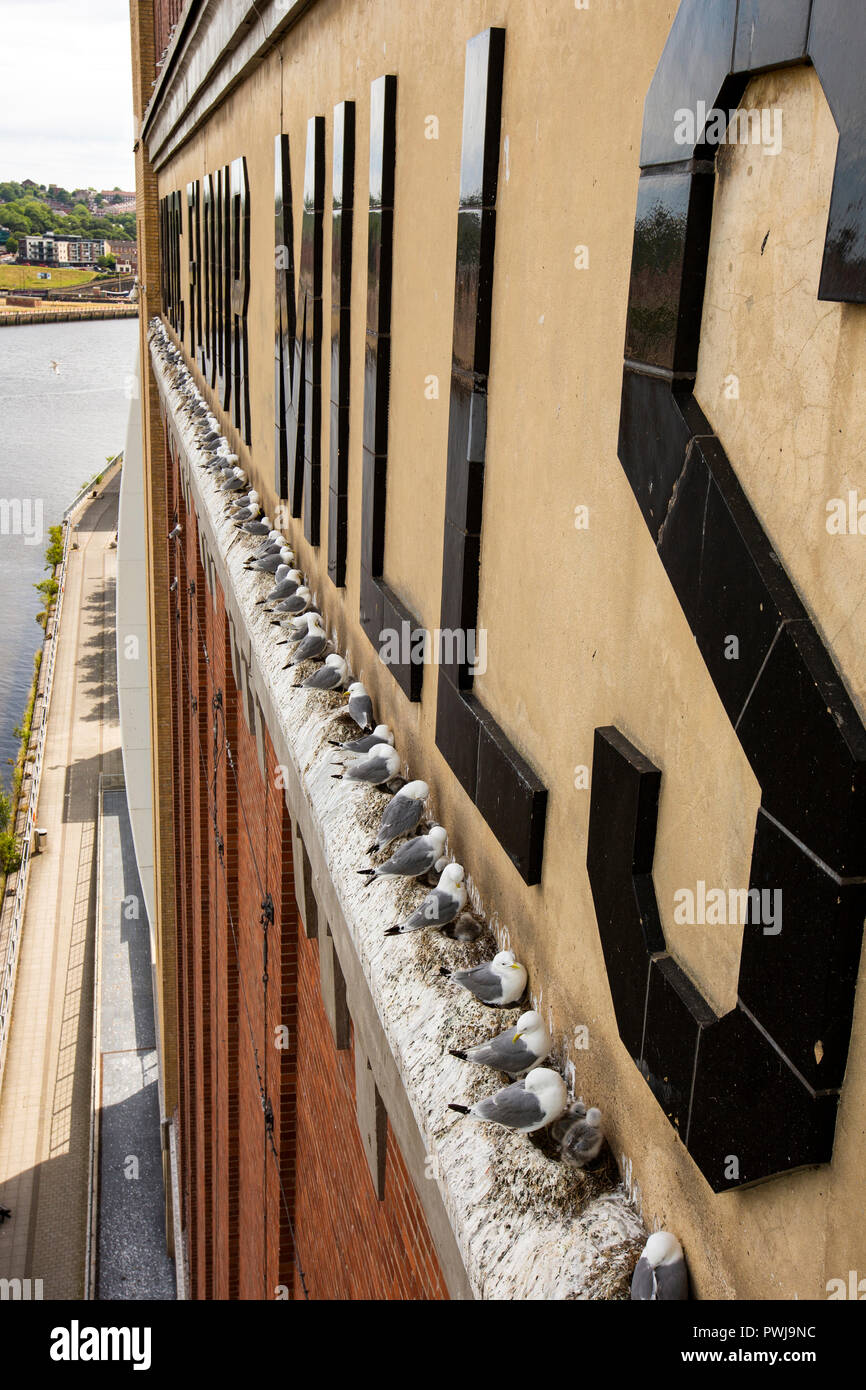 Artificial nesting structure hi-res stock photography and images - Alamy