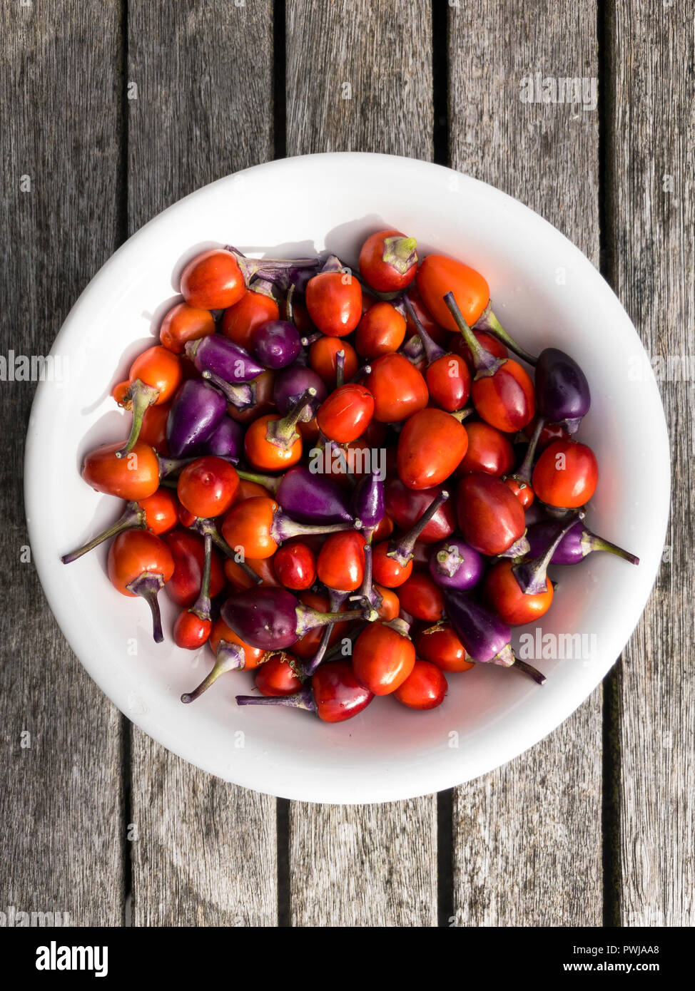 Ornamental edible chilli vegetable hi-res stock photography and images ...