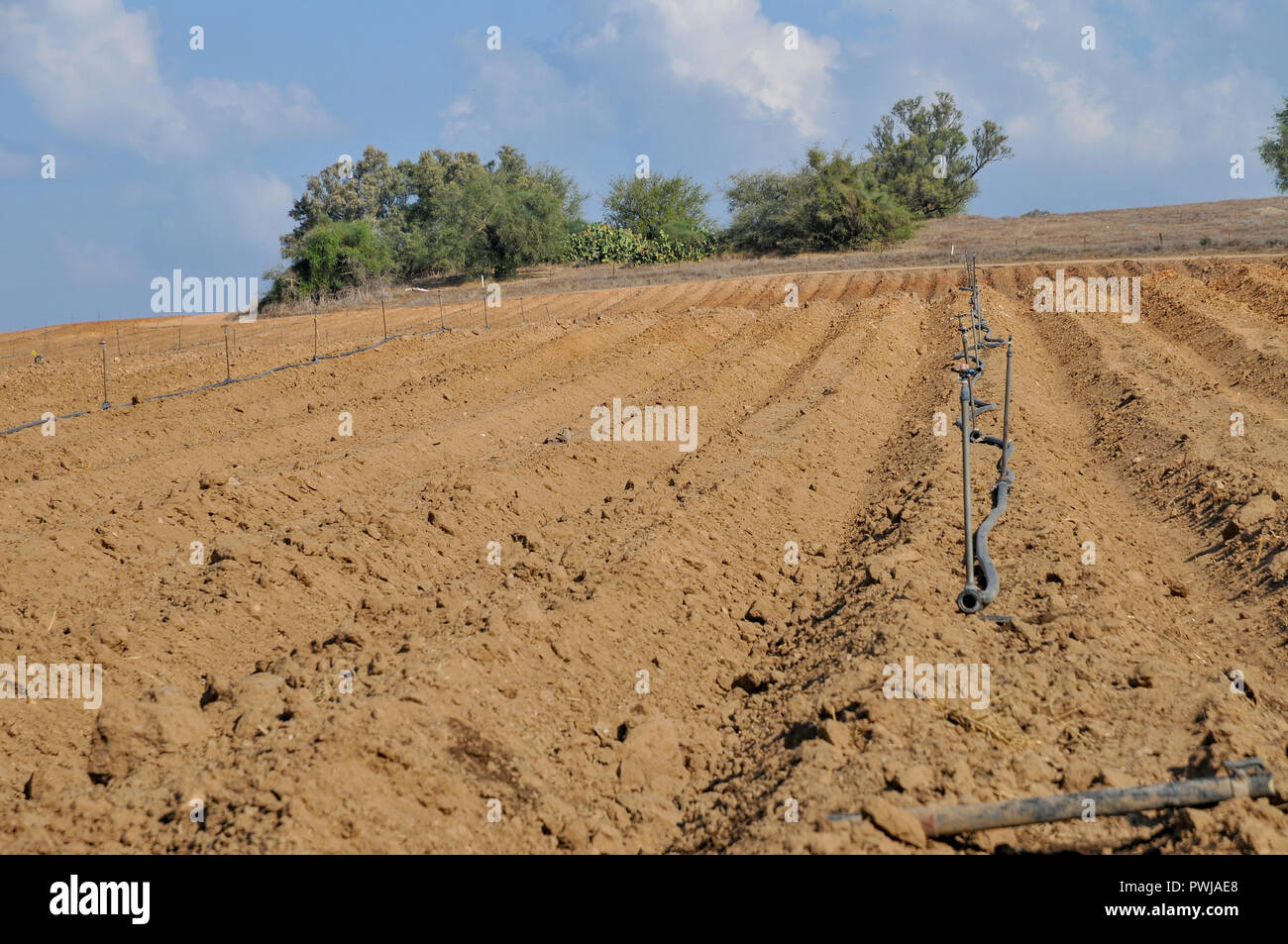 Inefficient irrigation hi-res stock photography and images - Alamy