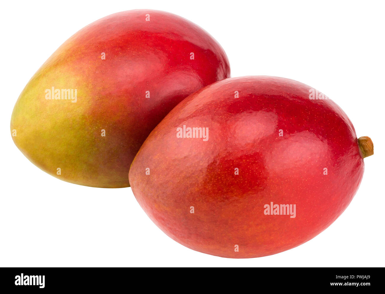 Two mangoes isolated on white background Clipping Path Stock Photo - Alamy