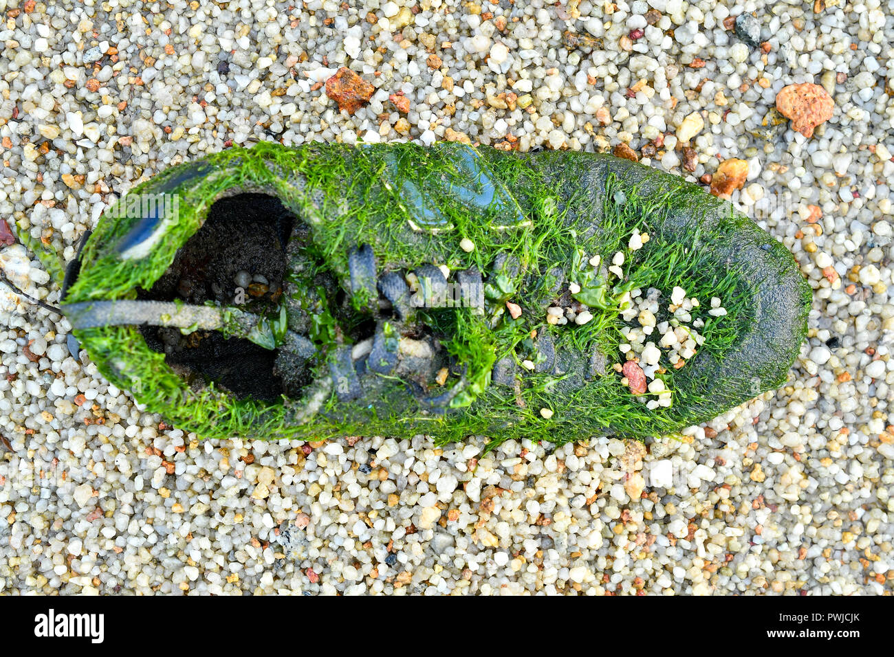 Shoe sole broken hi-res stock photography and images - Alamy