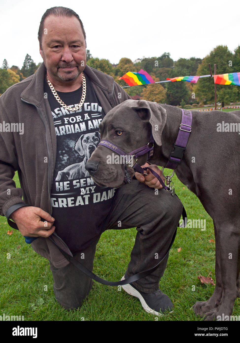 A Great Dane dog and its owner Stock Photo - Alamy