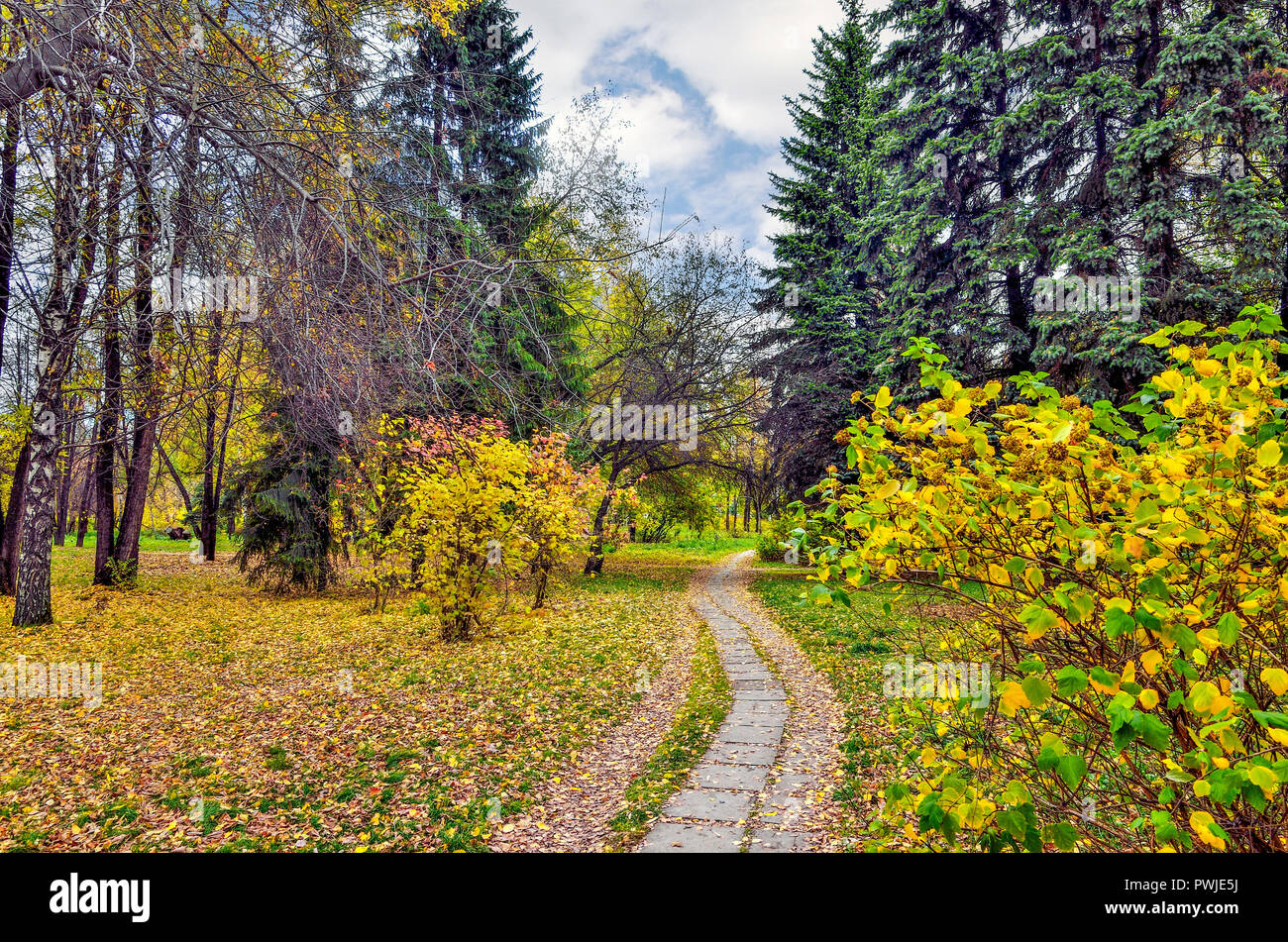 Lawn sward green garden october hi-res stock photography and images - Alamy