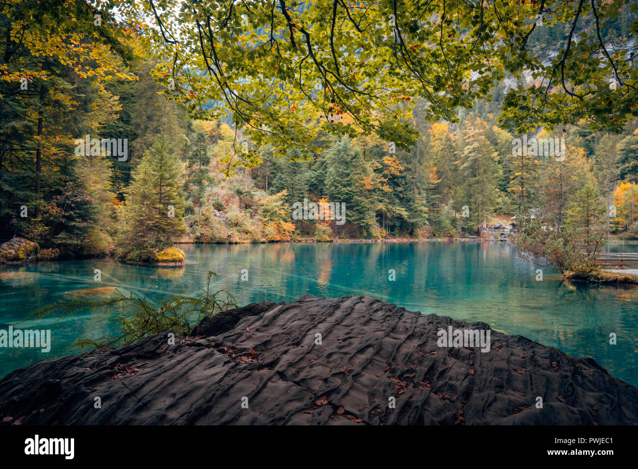 Autumn time at romantic forest lake Blausee, one of the best known ...