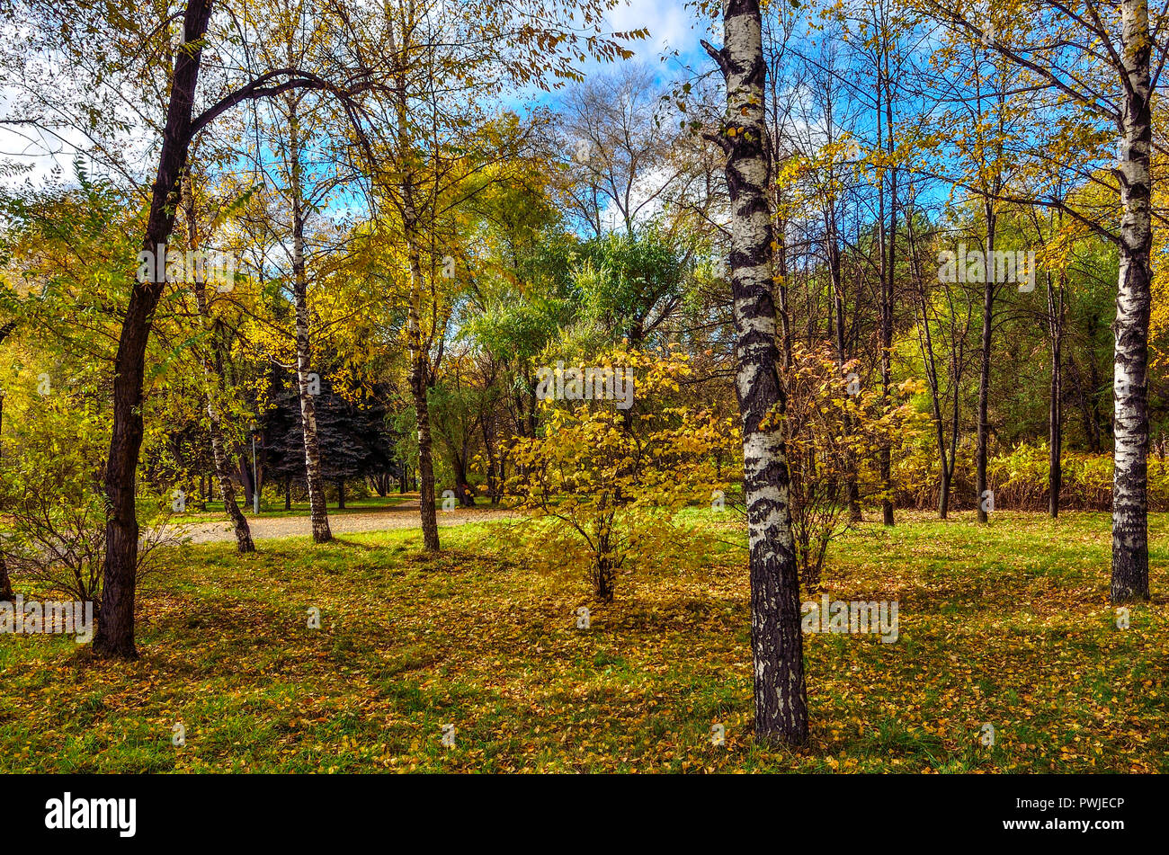 Lawn sward green garden october hi-res stock photography and images - Alamy