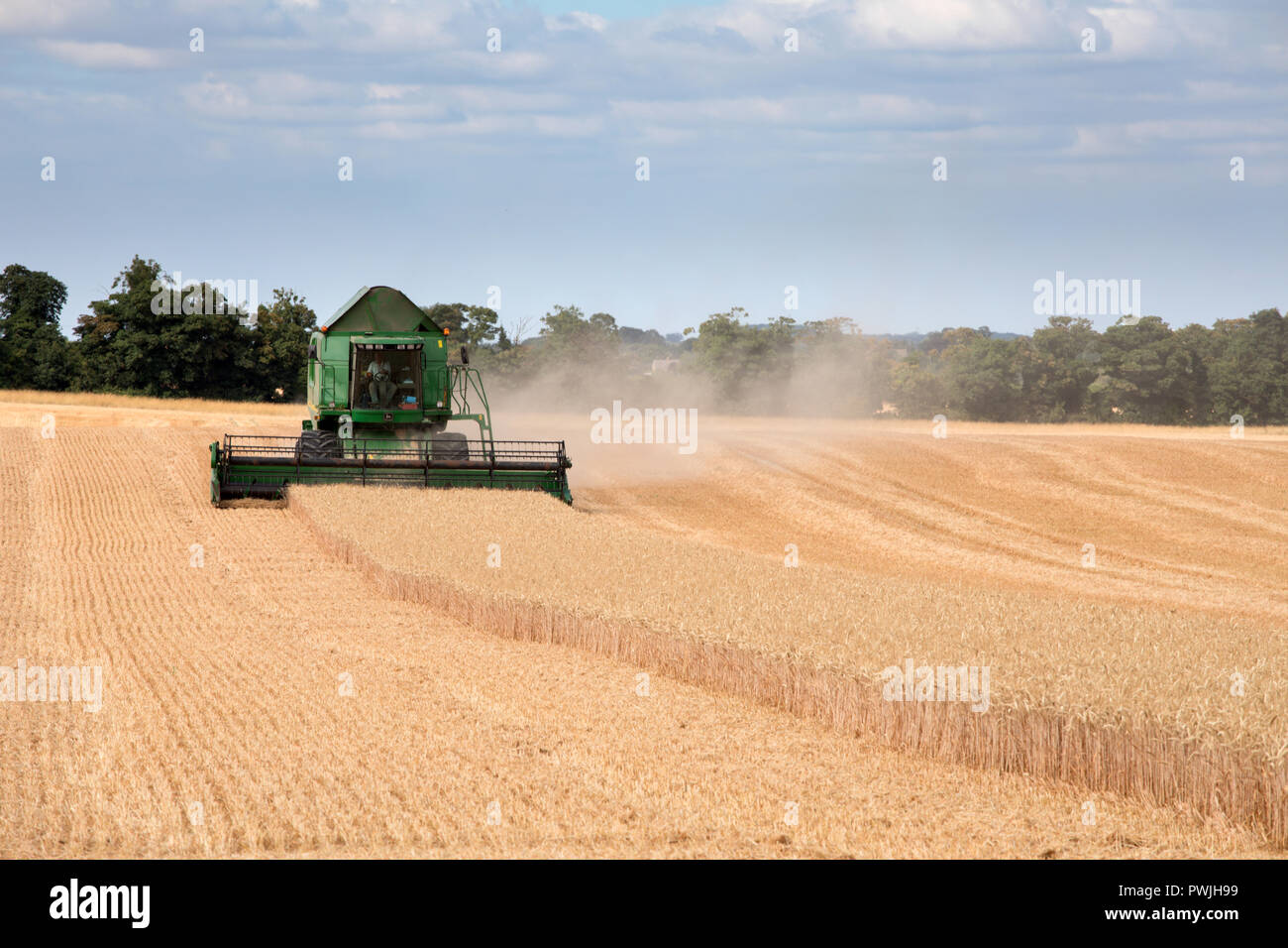 Combine Harvester gathering crops, Cambridgeshire, UK Stock Photo - Alamy