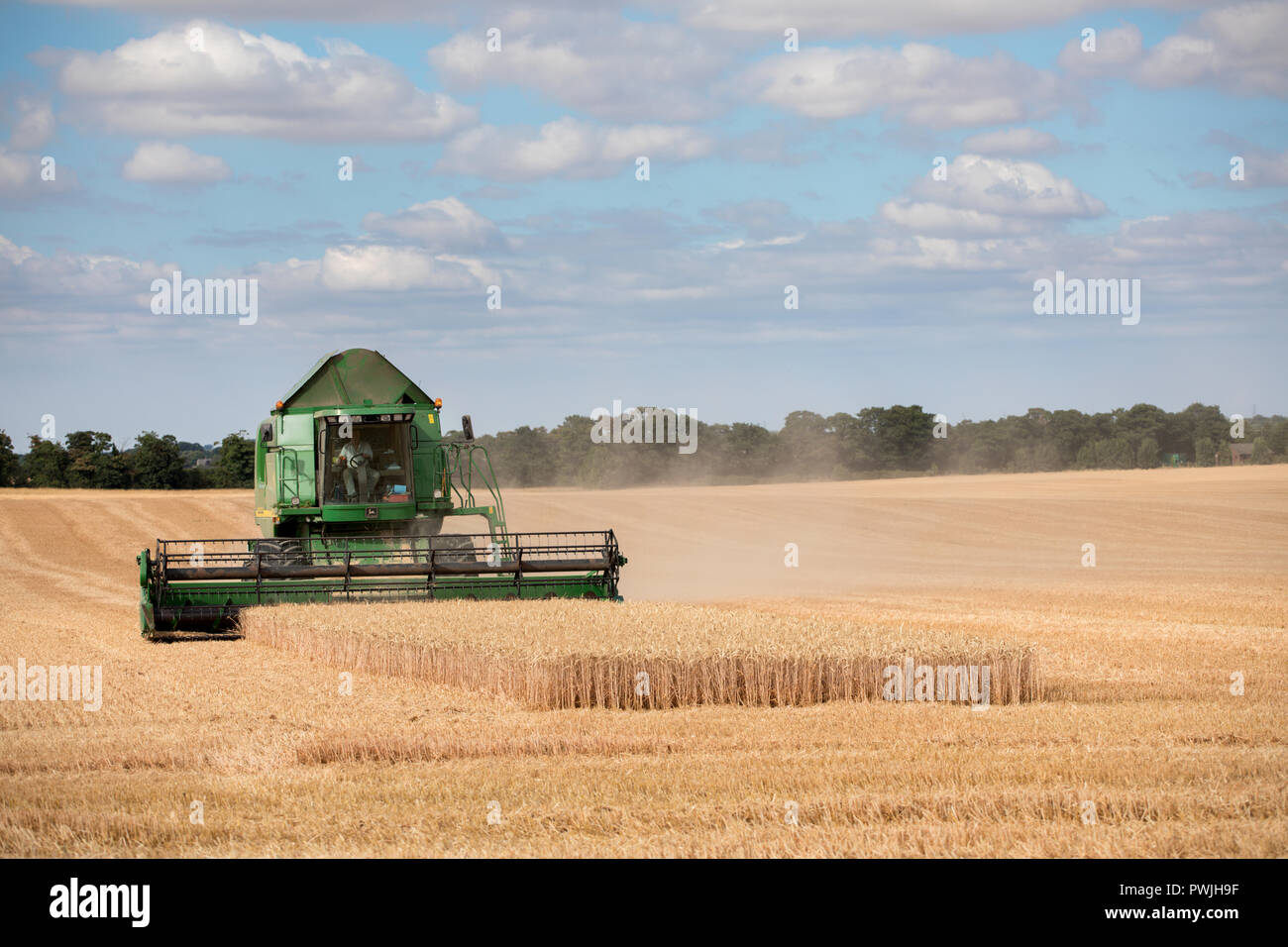 Uk farm crops hi-res stock photography and images - Alamy