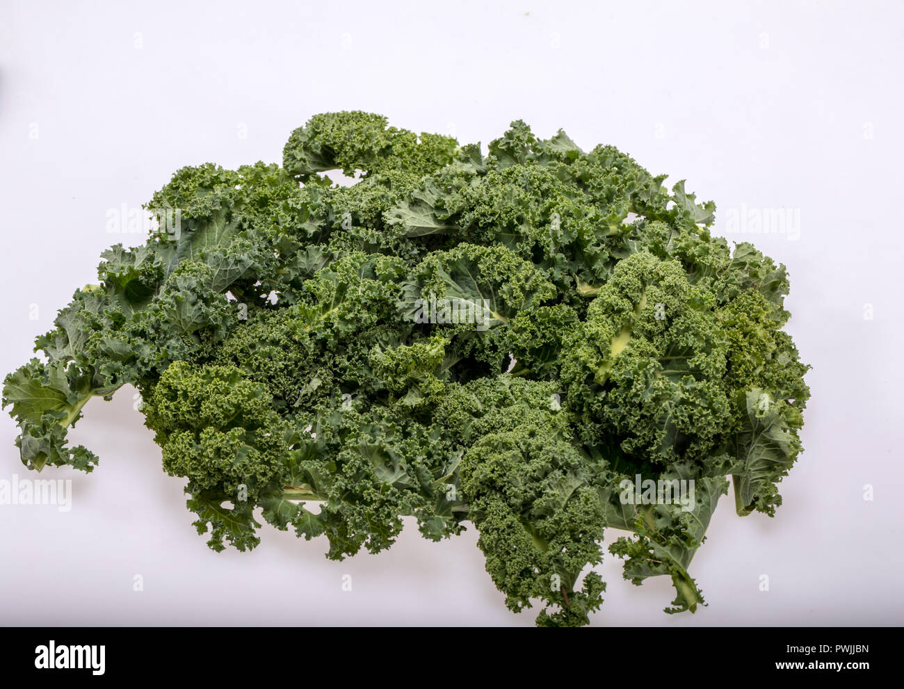 A healthy fresh curly kale Stock Photo - Alamy