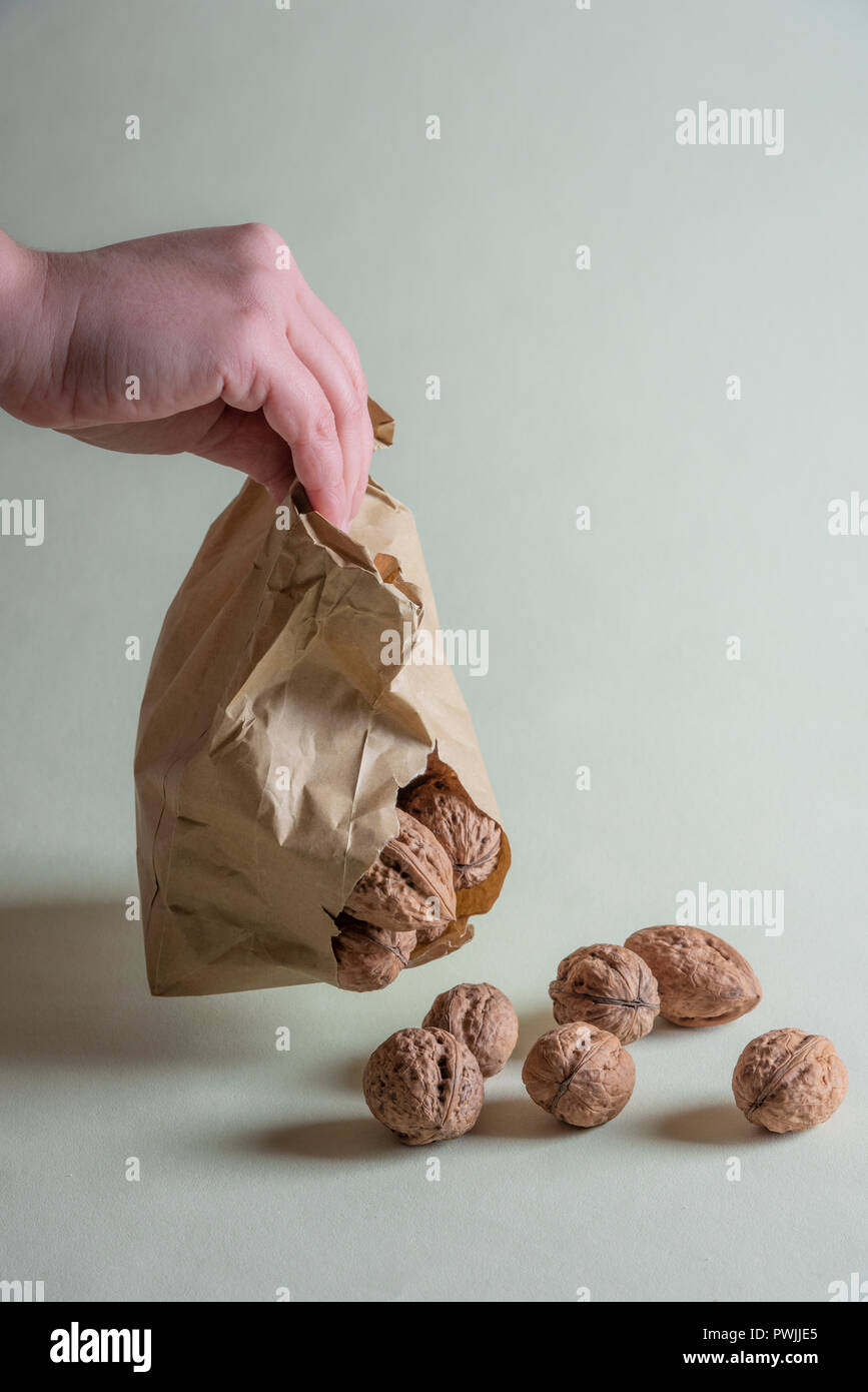 Damaged shopping paper bag in a woman's hand. The walnuts from paper ...