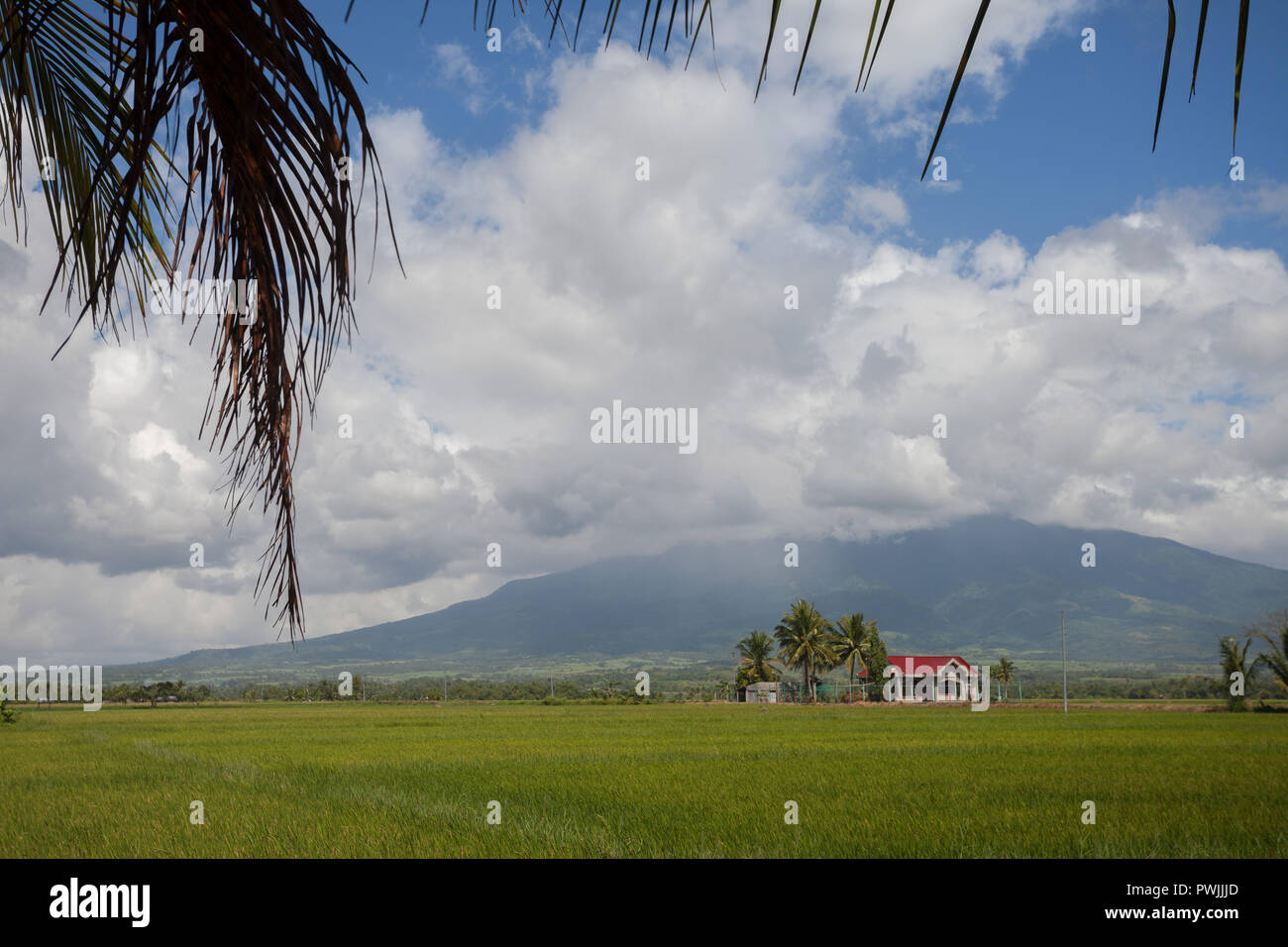 A view of fields, mountain and fluffy clouds in Bicol, Phillipines ...