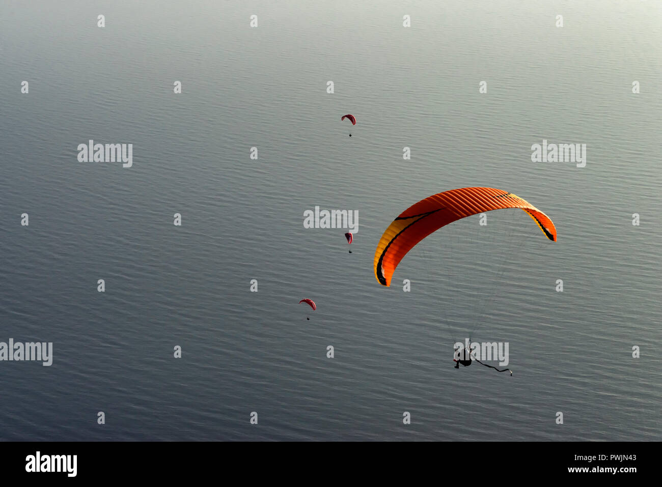 Group of paragliders flying over the sea Stock Photo - Alamy