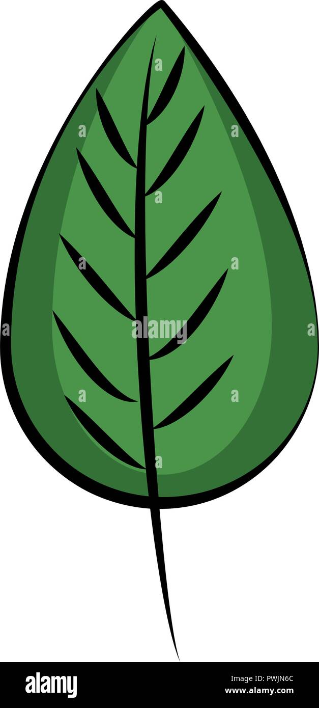 Leaf nature cartoon vector illustration graphic design Stock Vector ...