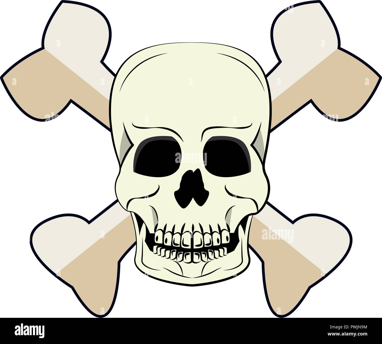 Skull over bones crossed cool drawing vector illustration graphic ...