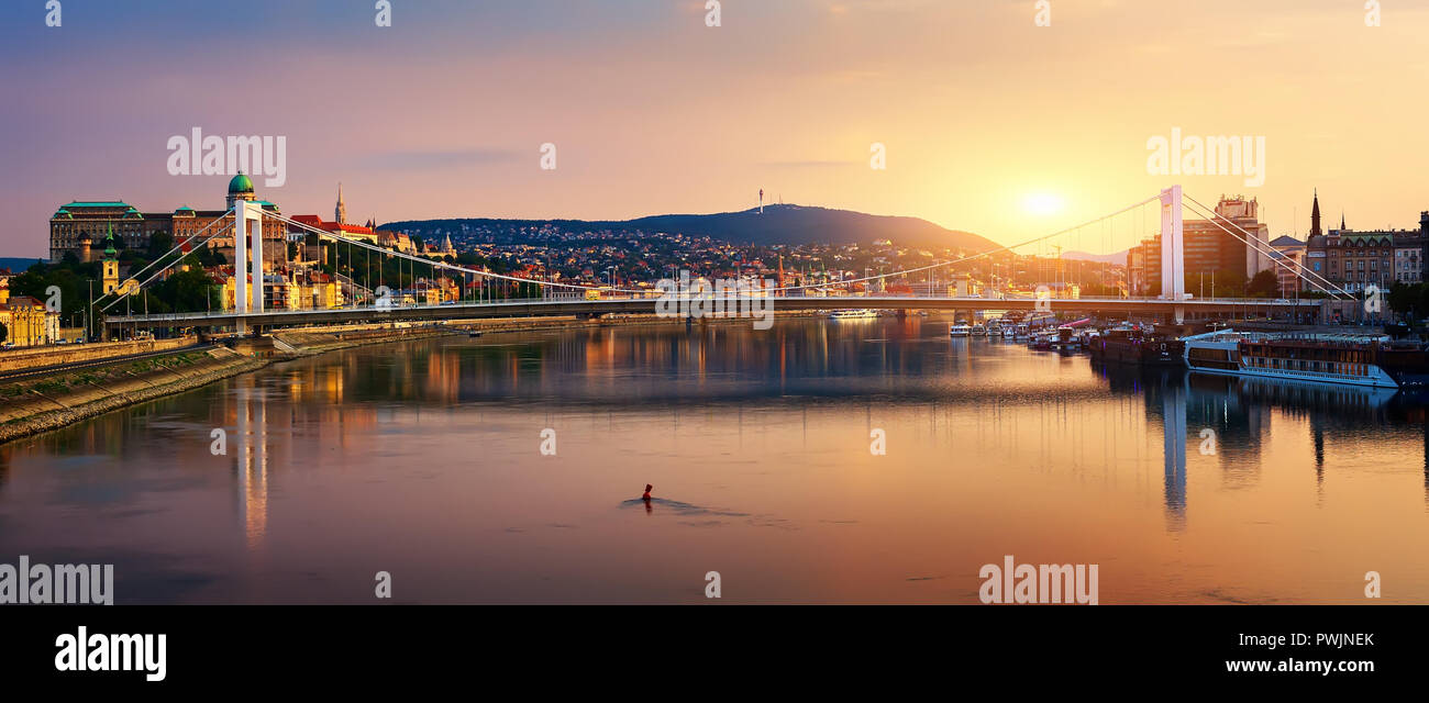 Elizabeth bridge in budapest hi-res stock photography and images - Alamy