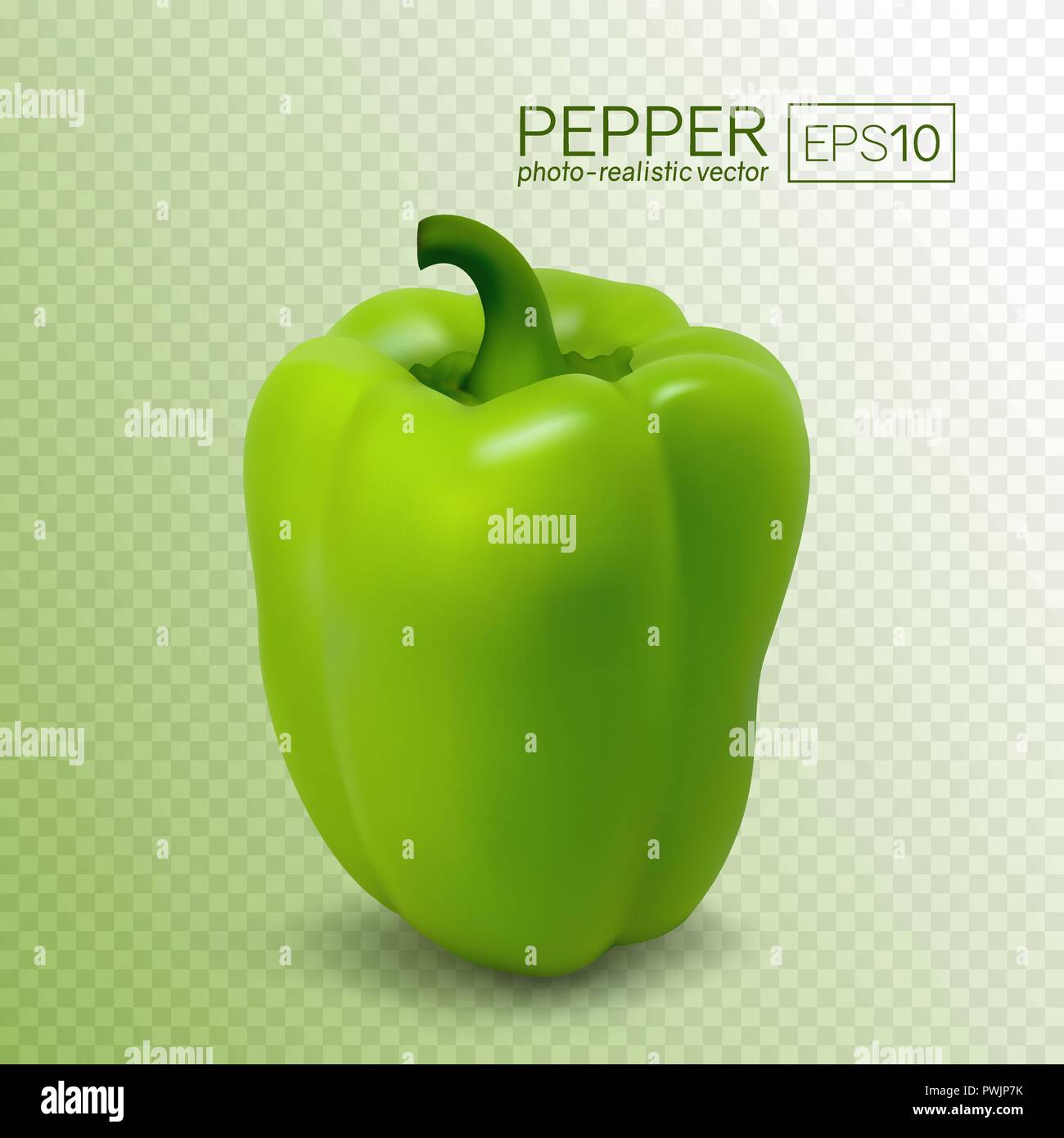 Vector photo-realistic fresh pepper on a transparent background Stock ...