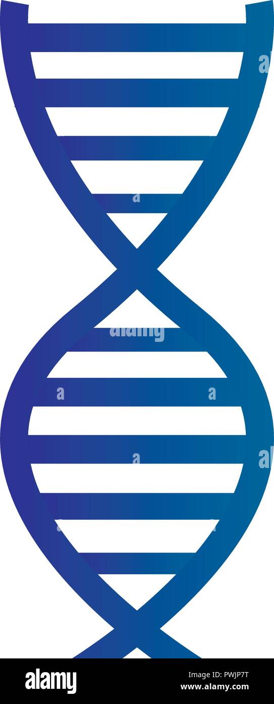 dna molecule structure science genetic vector illustration Stock Vector ...