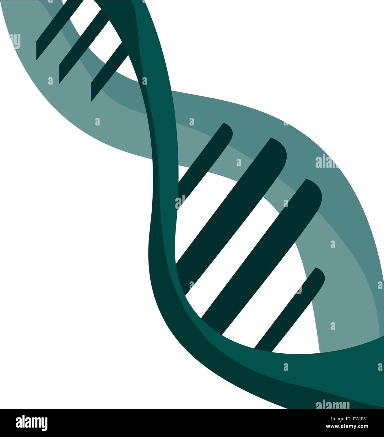 dna molecule structure science genetic vector illustration Stock Vector ...