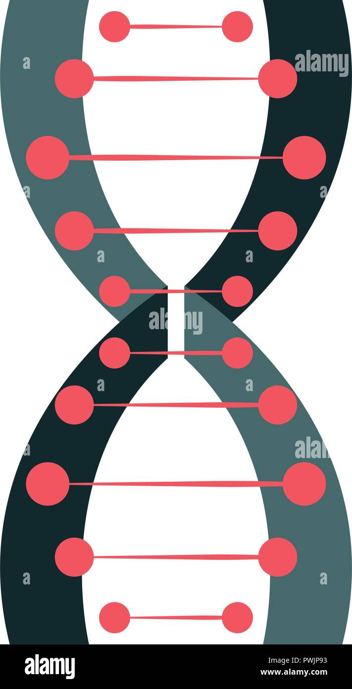 dna molecule structure science genetic vector illustration Stock Vector ...