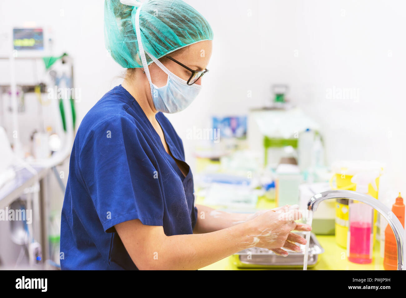 Veterinary surgeon washing hands before operating Stock Photo - Alamy