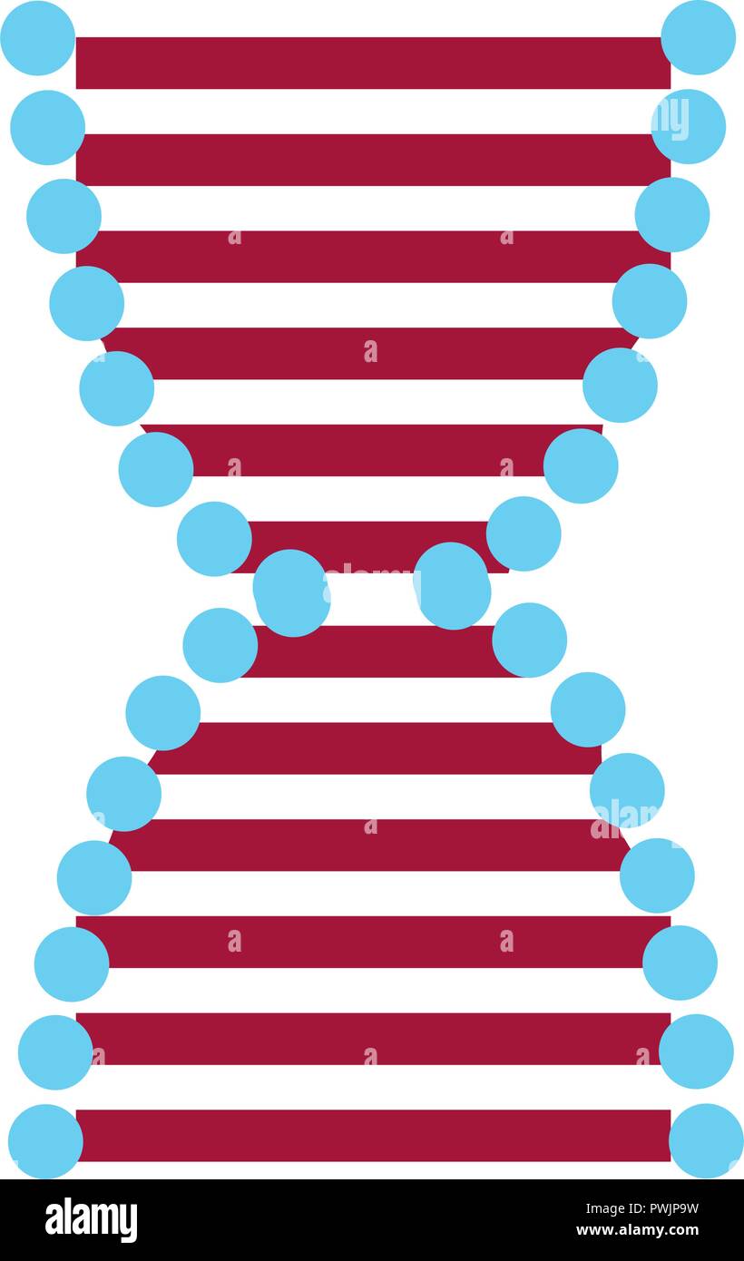 dna molecule structure science genetic vector illustration Stock Vector ...