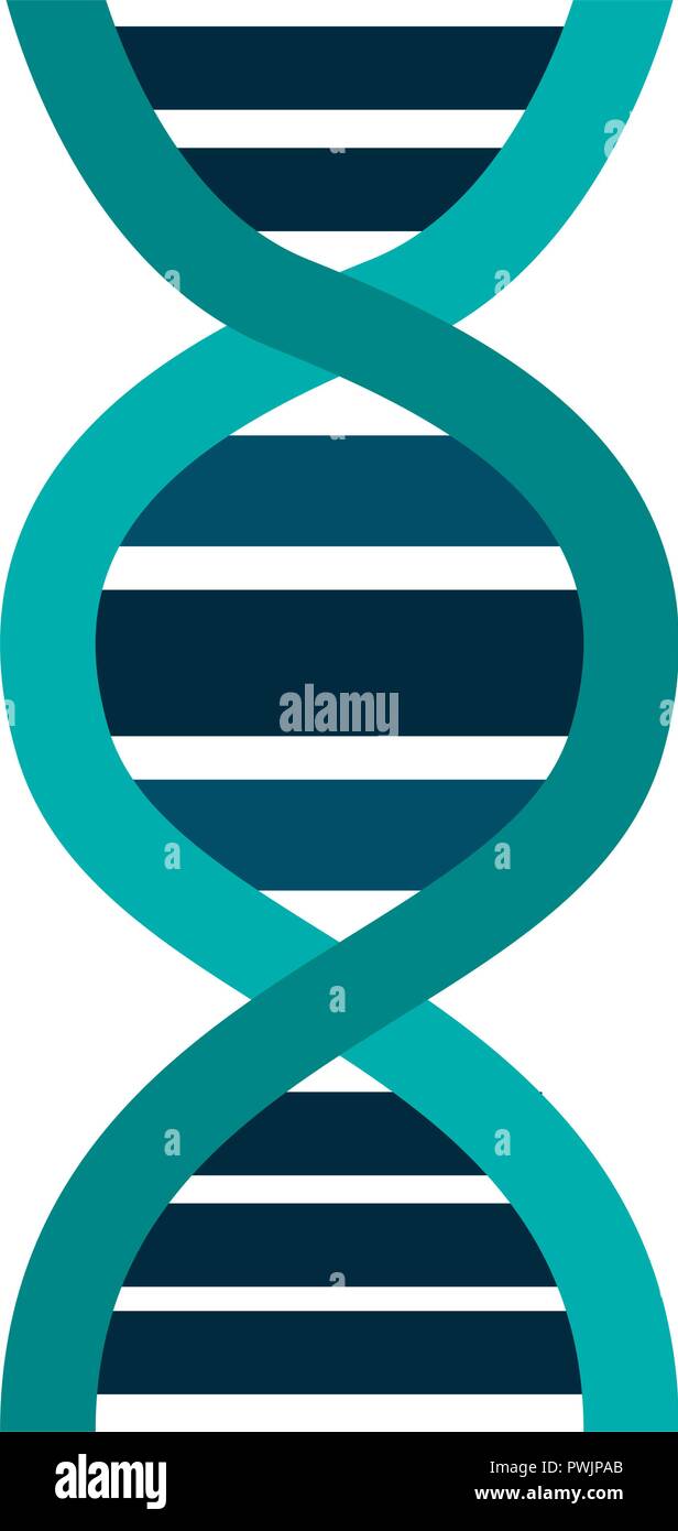 dna molecule structure science genetic vector illustration Stock Vector ...