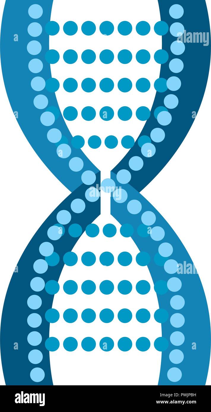 dna molecule structure science genetic vector illustration Stock Vector ...