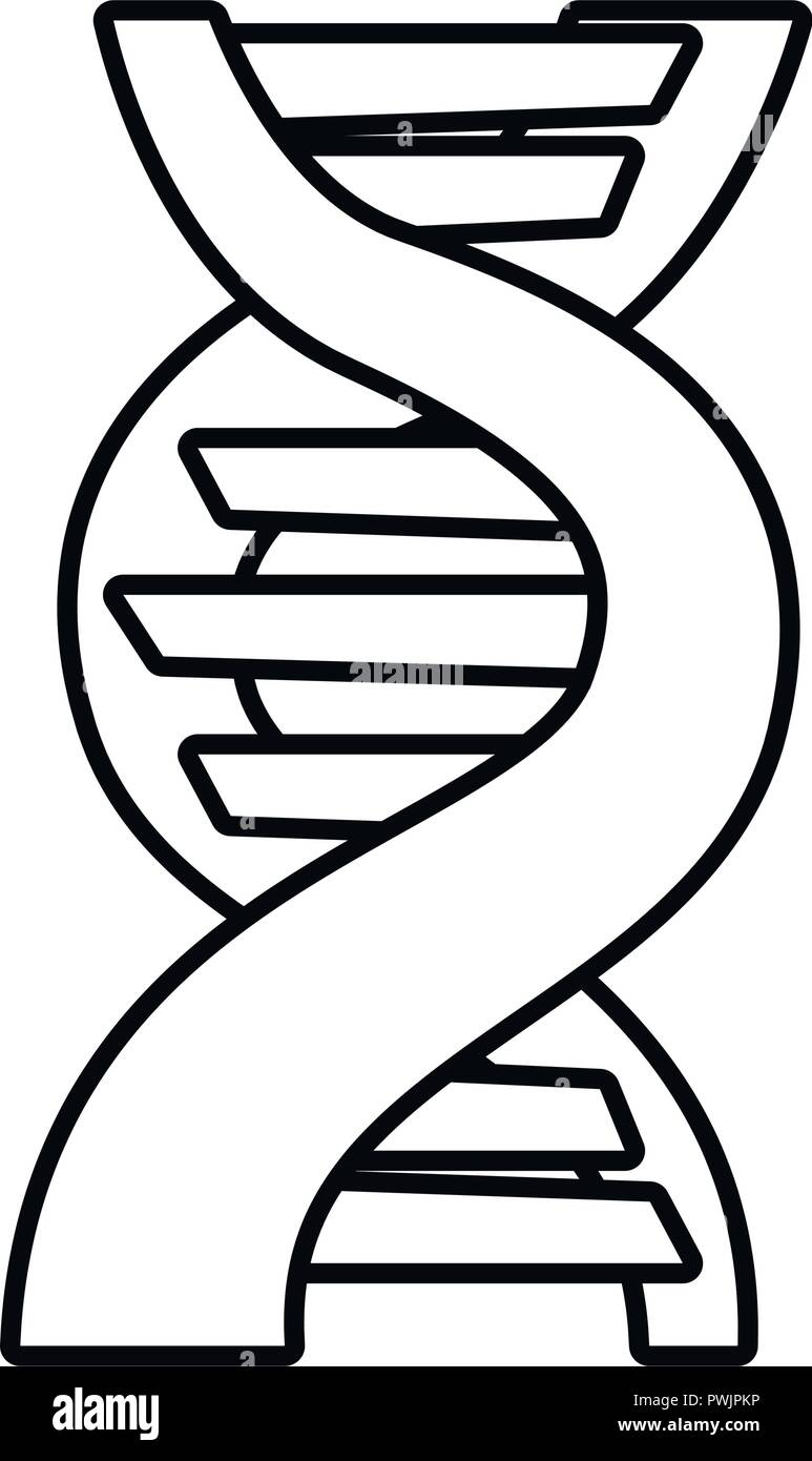 dna molecule structure science genetic outline vector illustration ...