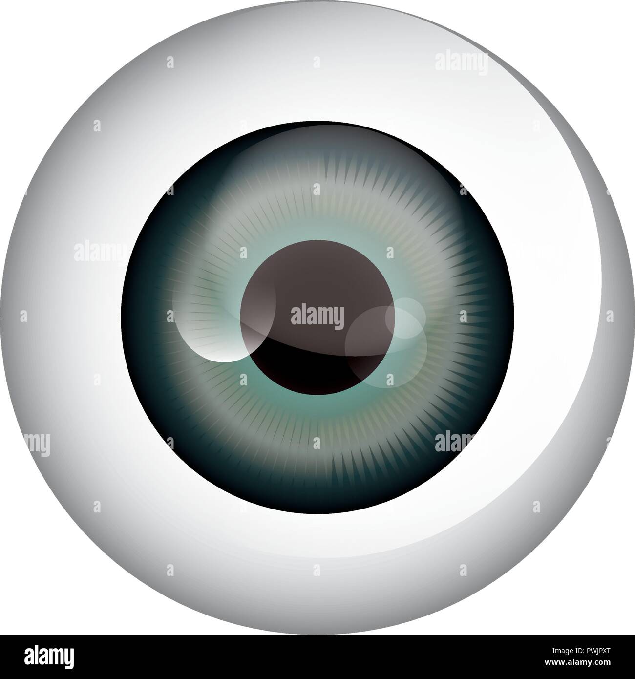 eyeball vision on white background vector illustration Stock Vector ...